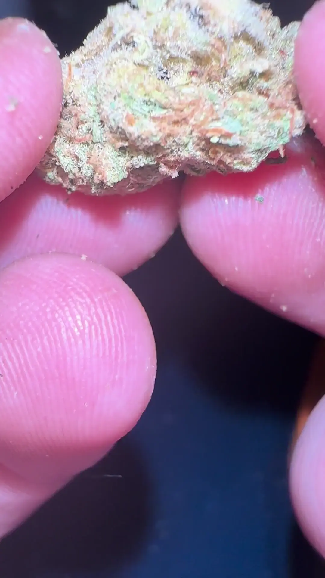 Tricome pull | Scrolller