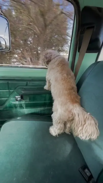 Truck Ride Tippy Taps | Scrolller