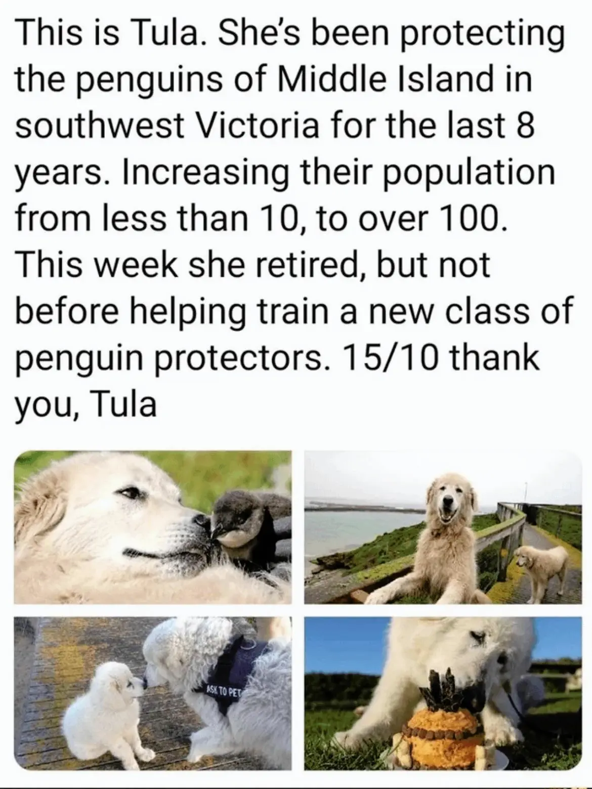 Tula deserves our love and appreciation today 💞 | Scrolller