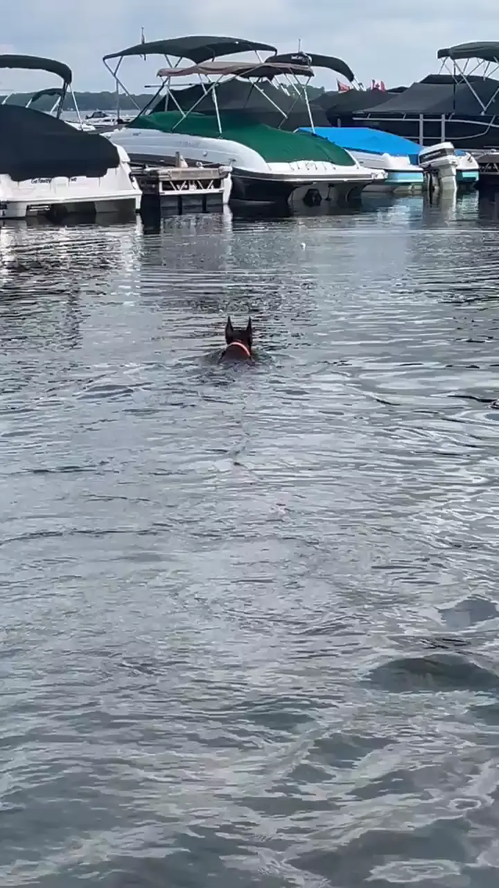 Turns out they do float | Scrolller