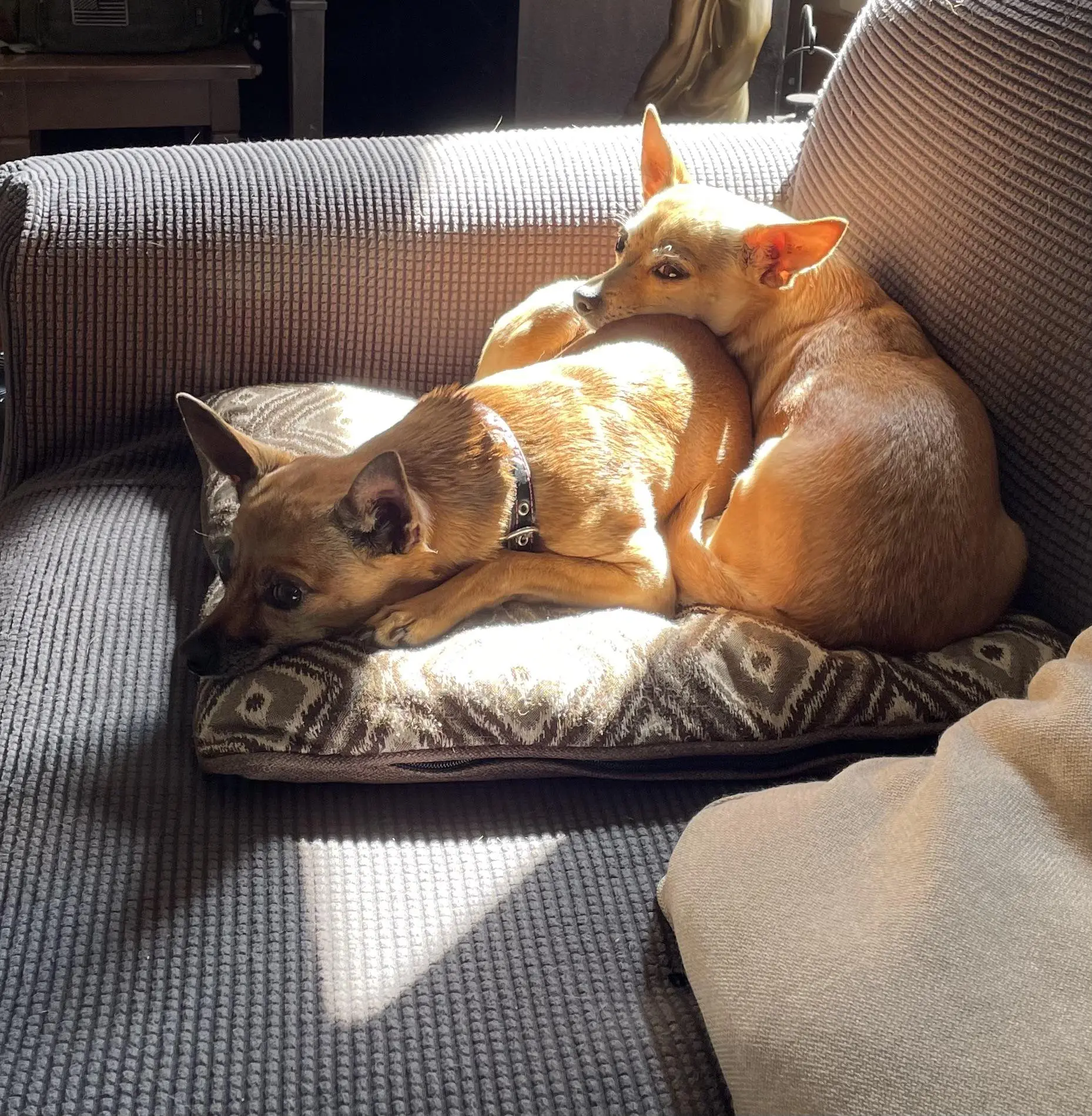 Two girls enjoying a sunbeam together. | Scrolller
