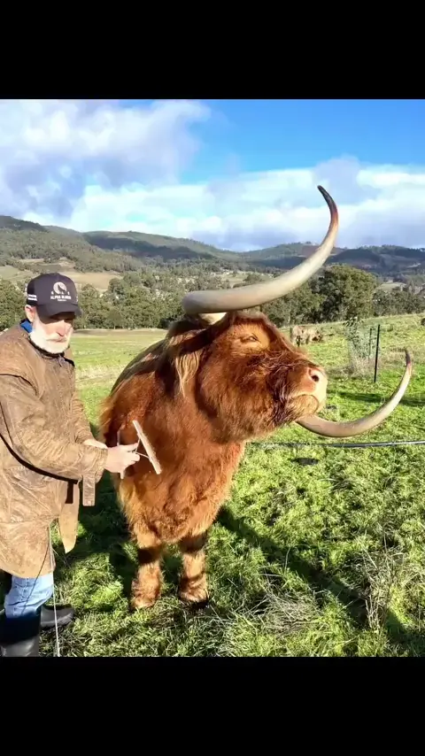 Discover more like Brushybrushy: Two handed brushing technique and Related Content | Scrolller