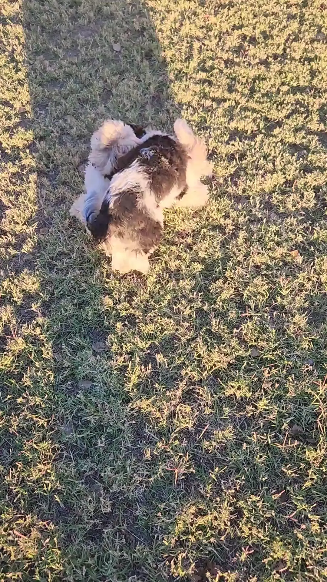 Two modes, this...and sleep! | Scrolller