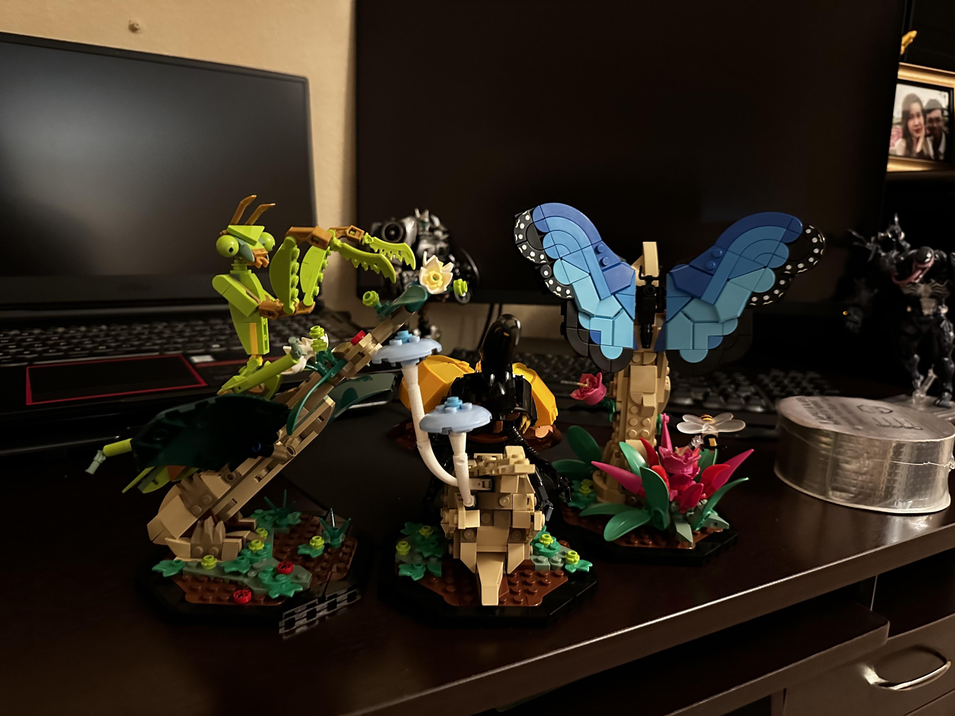 Lego Ideas Insects Collection completed | Scrolller
