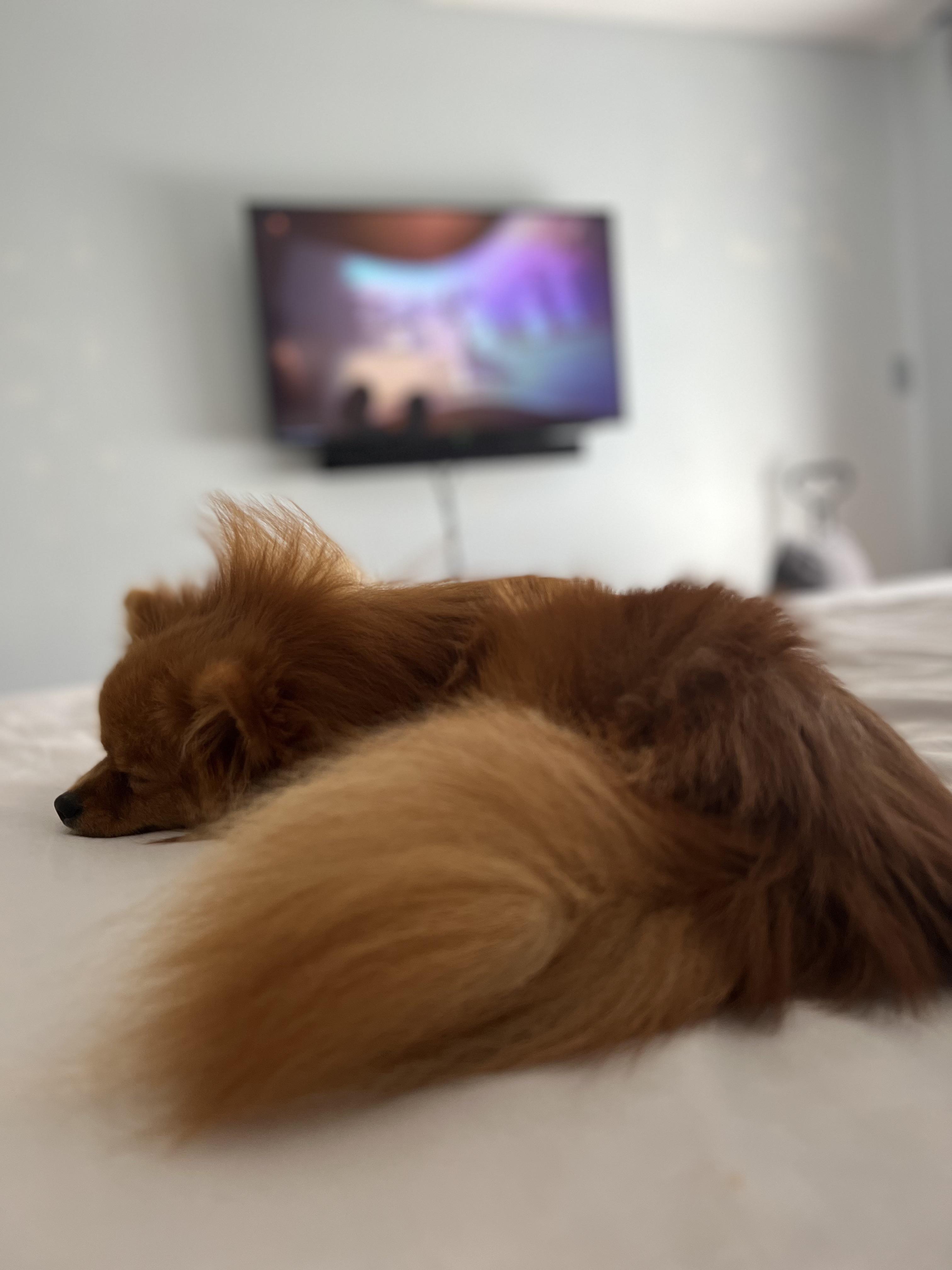 How do I tell her, I gotta make the bed so I can work whilst she naps 😇😍🥰 | Scrolller