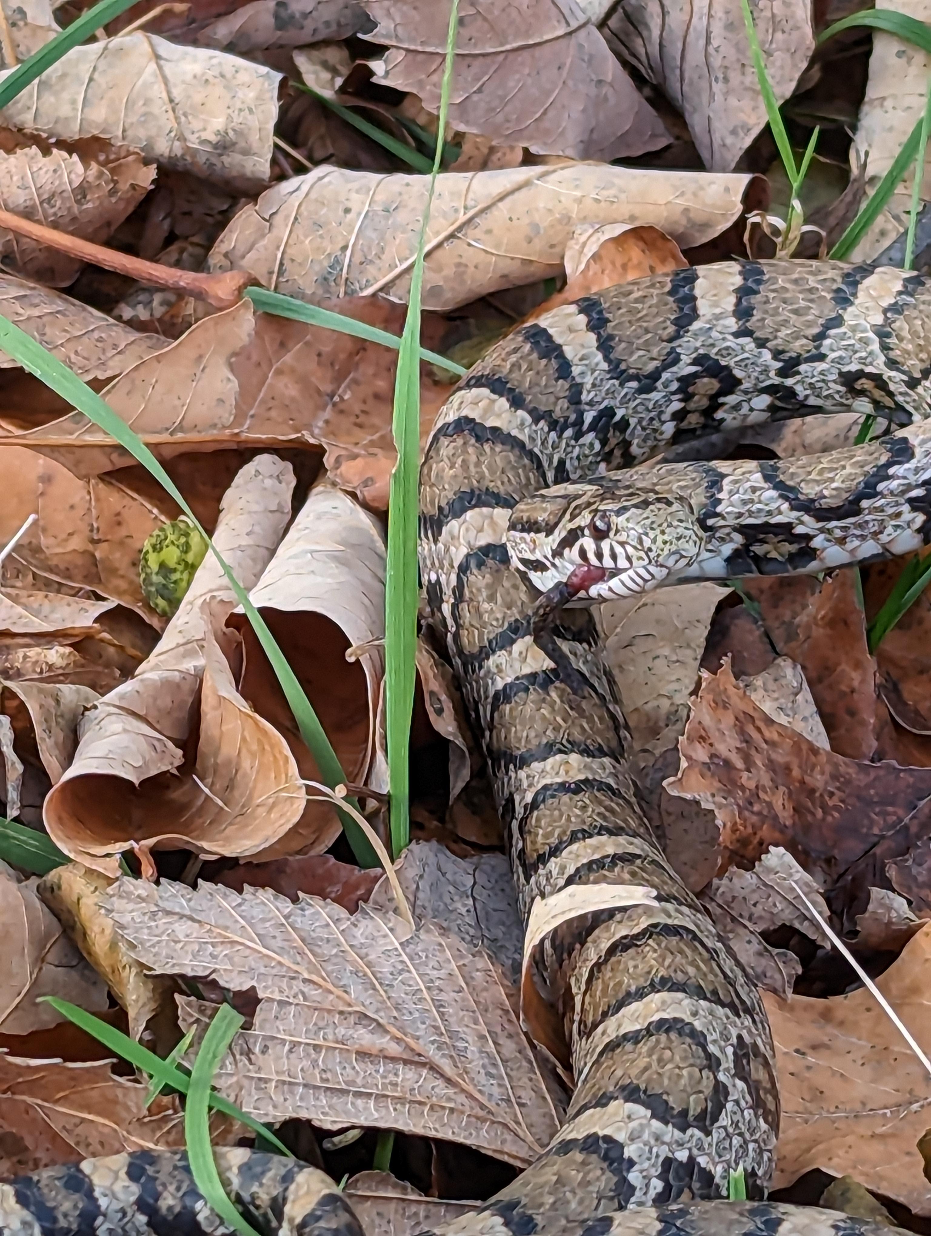 Is is mouth broken? | Scrolller