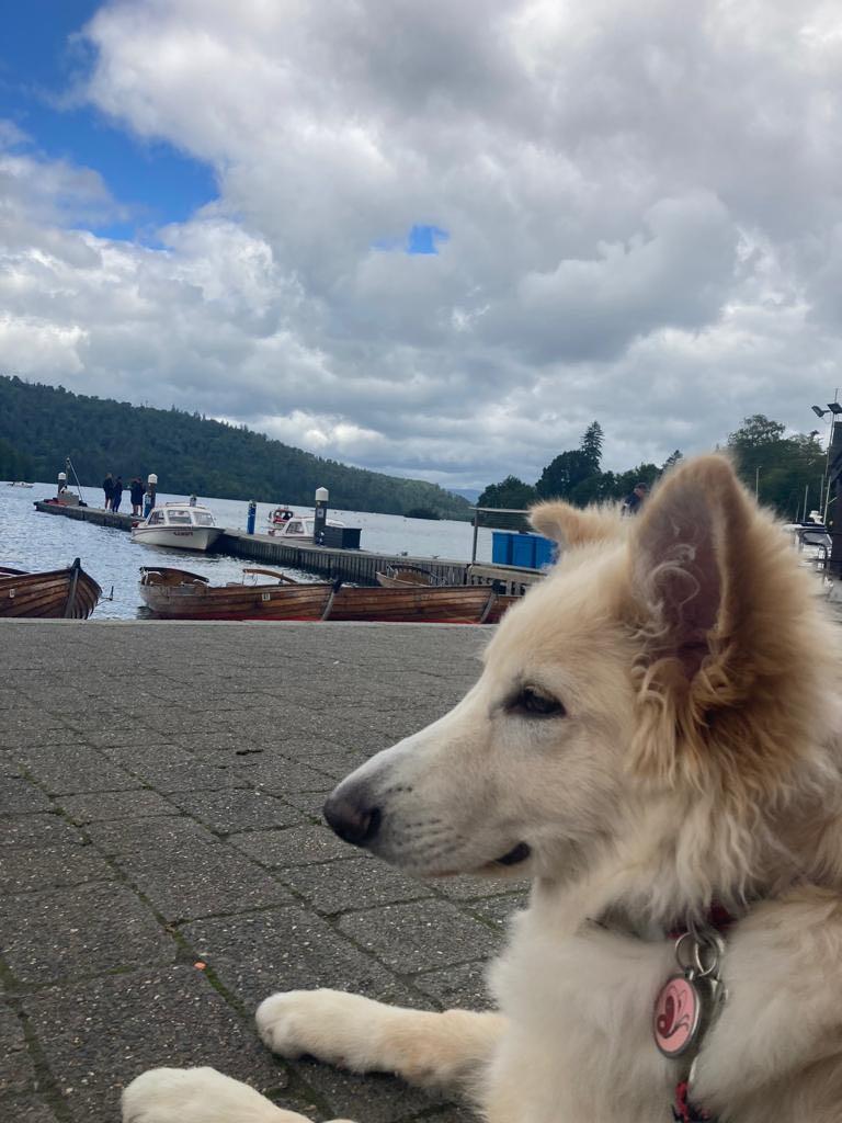 Evolution of lucy 😍 | Scrolller