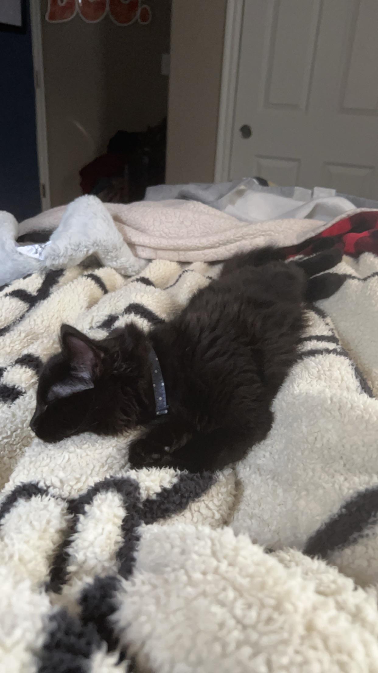 Saying goodbye | Scrolller