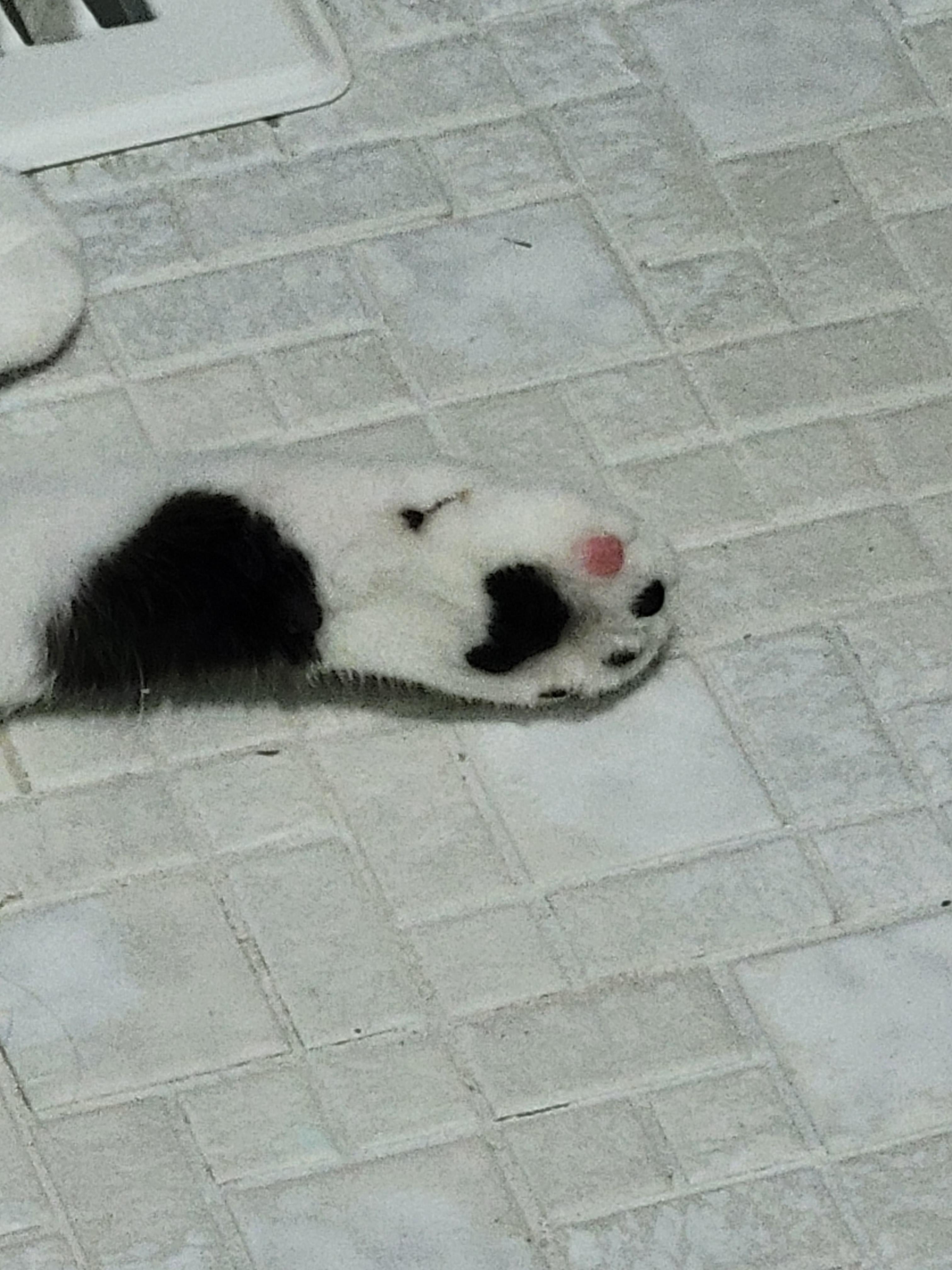 Lilith's beautiful beans | Scrolller