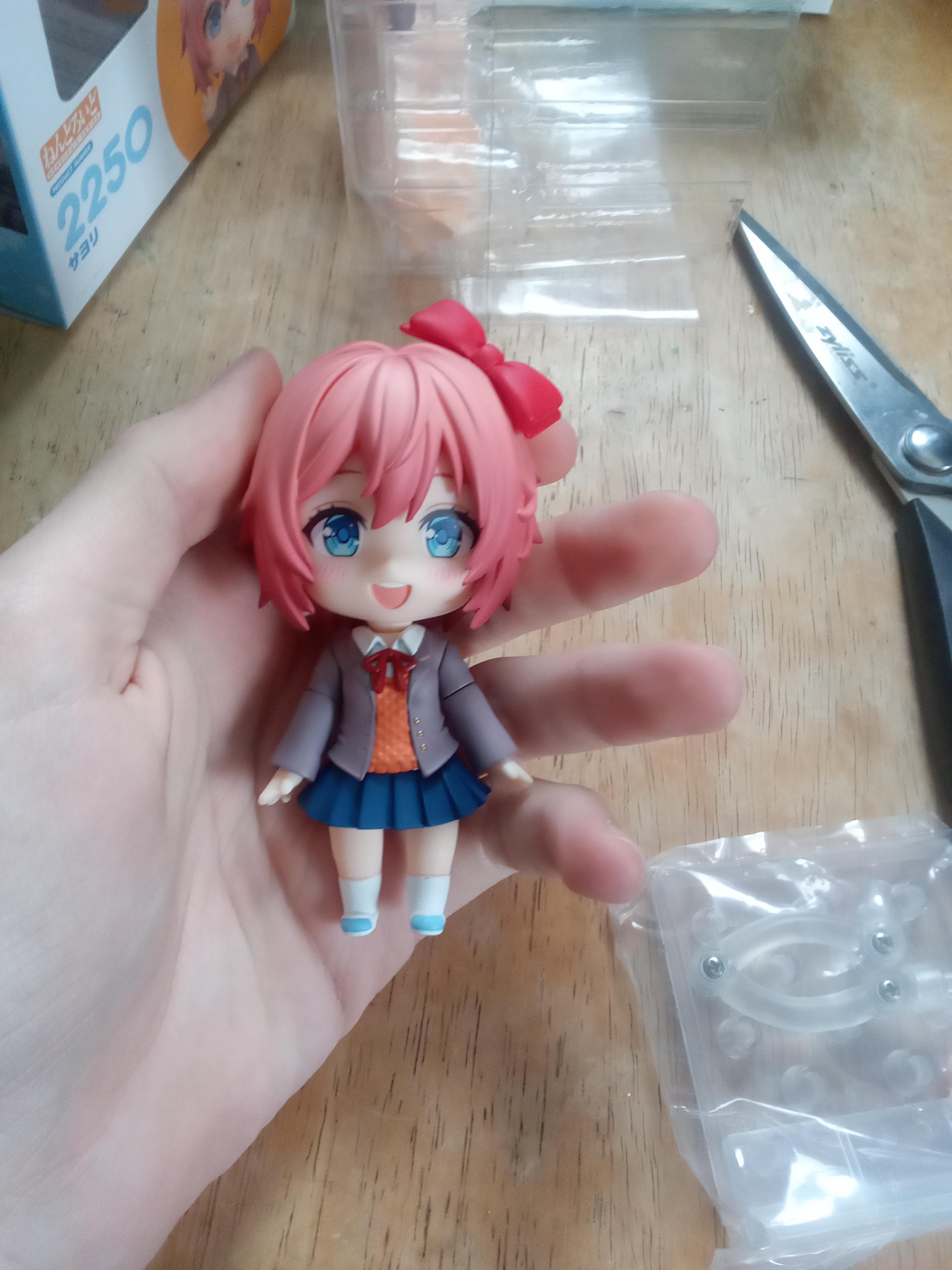 I got my Sayori Nendoroid Yesterday! | Scrolller