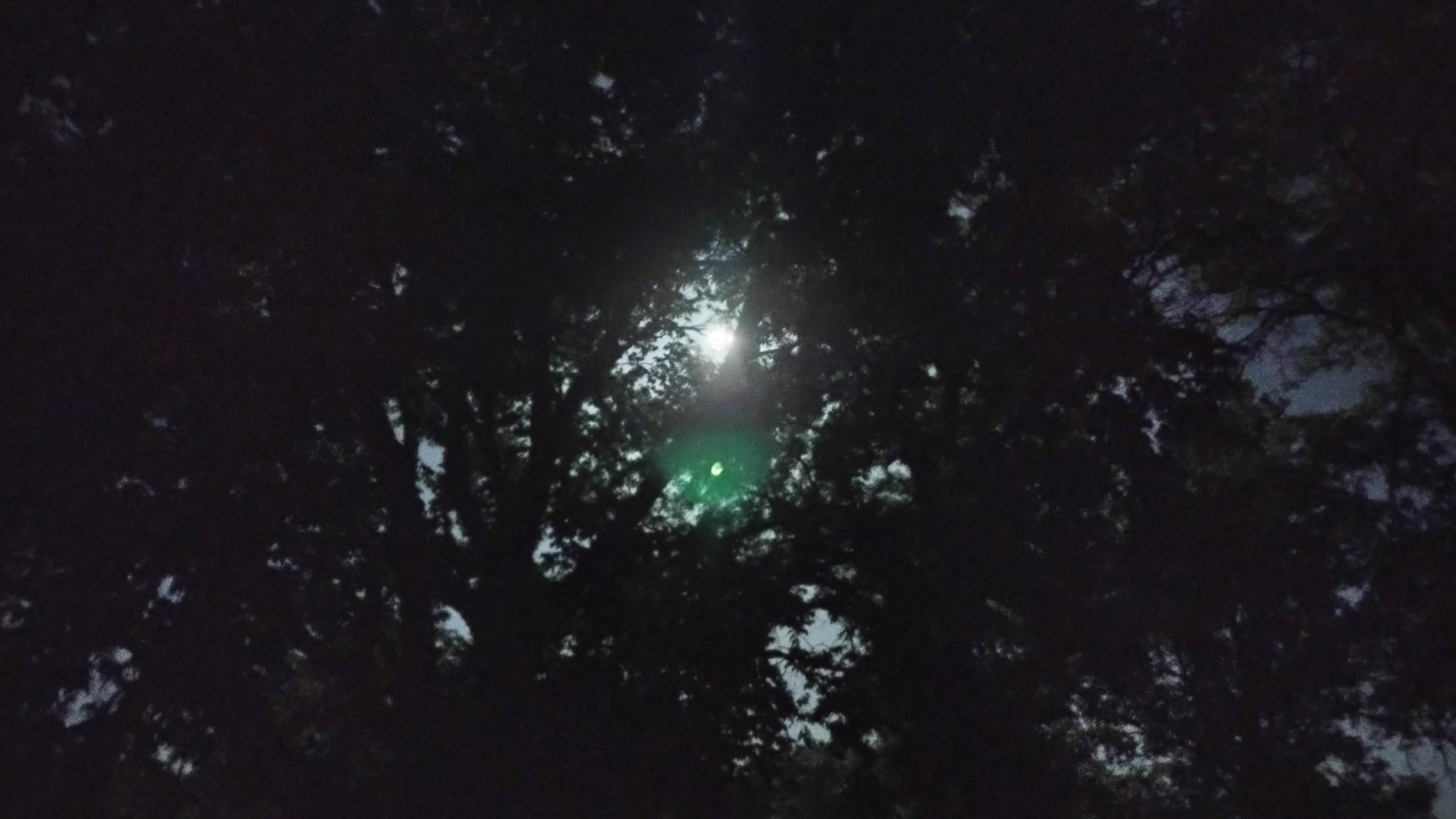 How does moonlight make you feel? | Scrolller