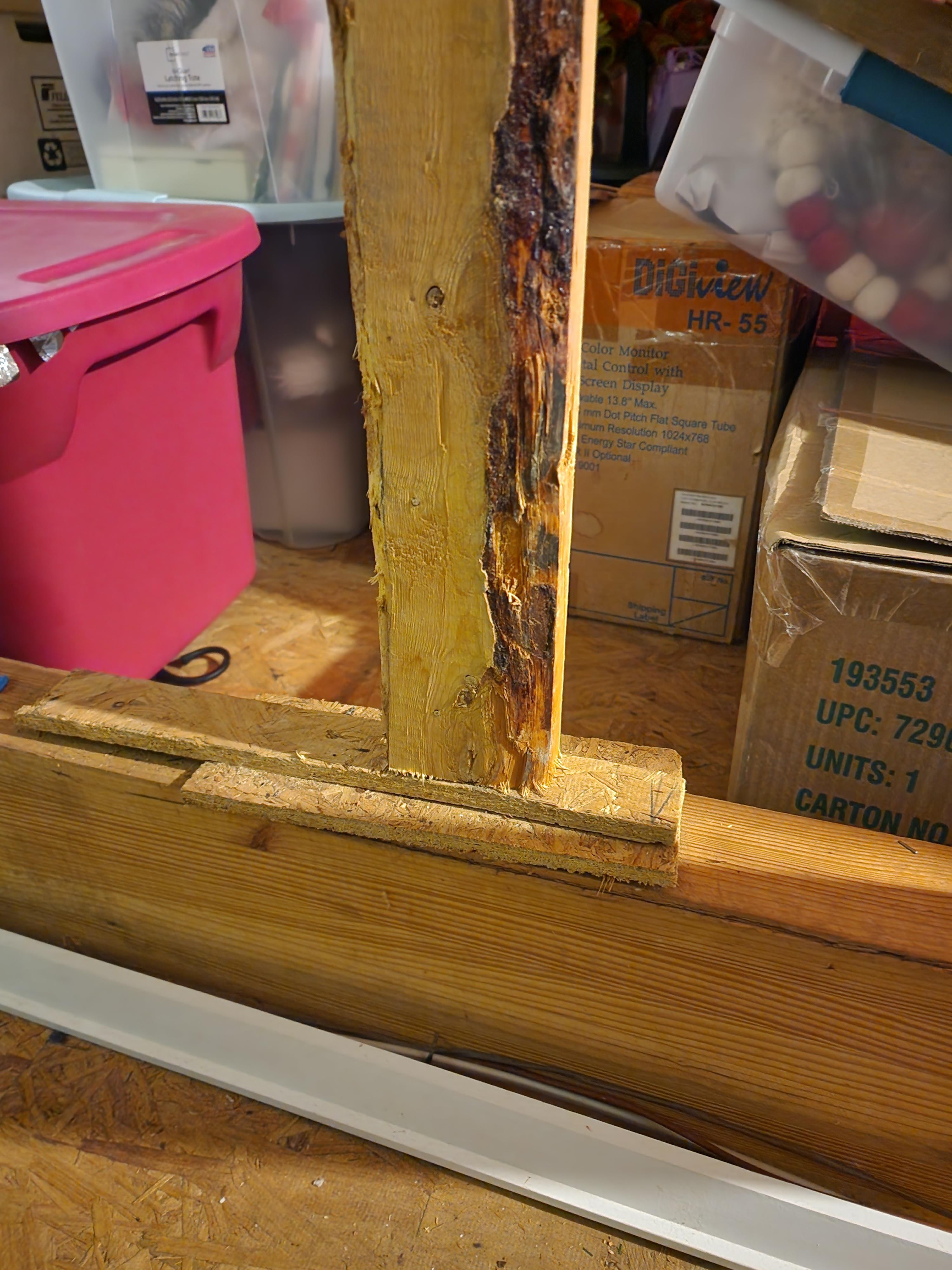 Can I remove the vertical boards? | Scrolller