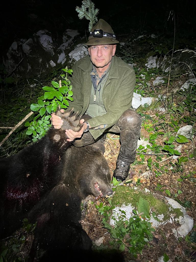 Croatian Brown Bear | Scrolller