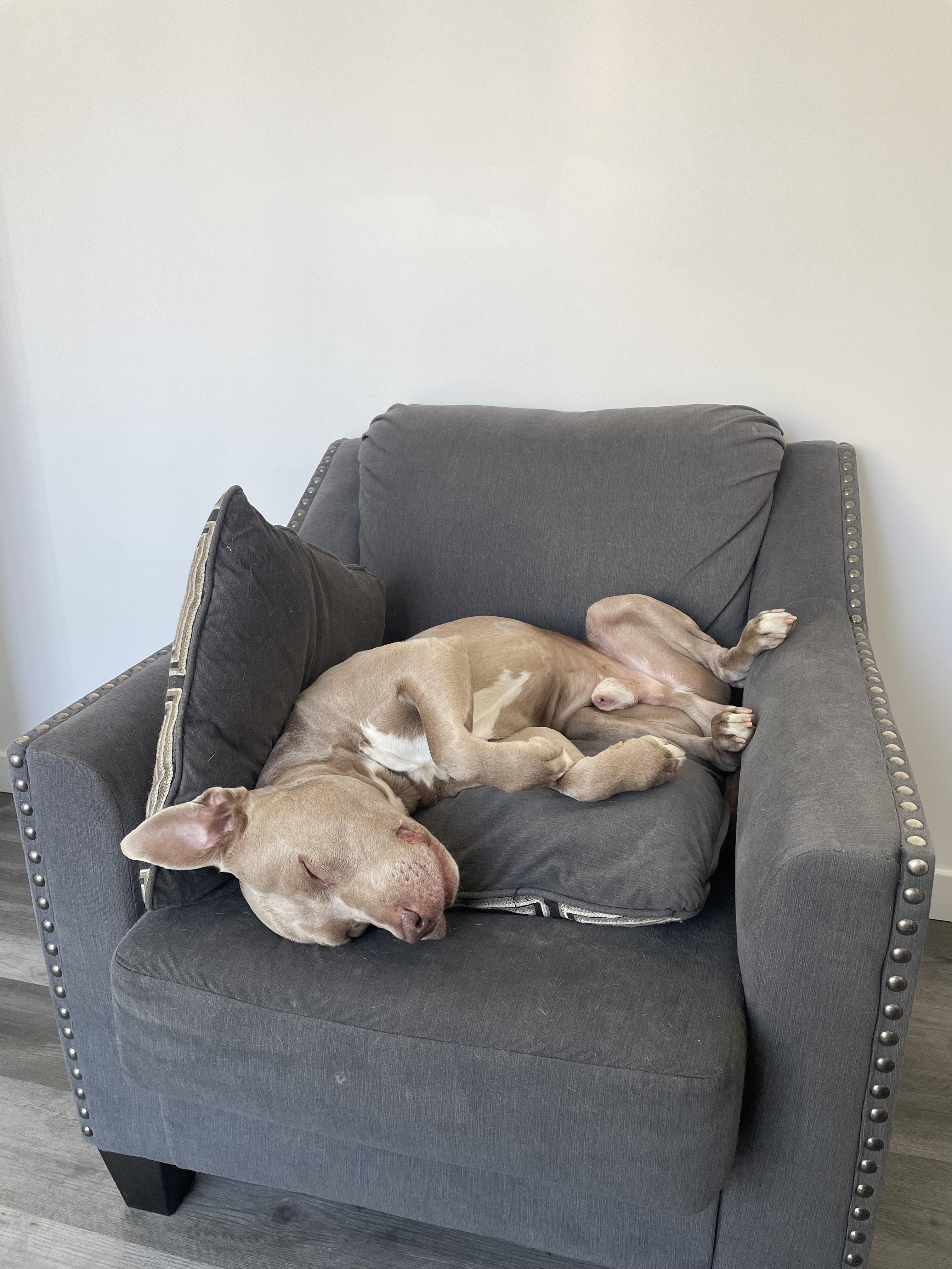 Hey everyone I'm Ace | Scrolller