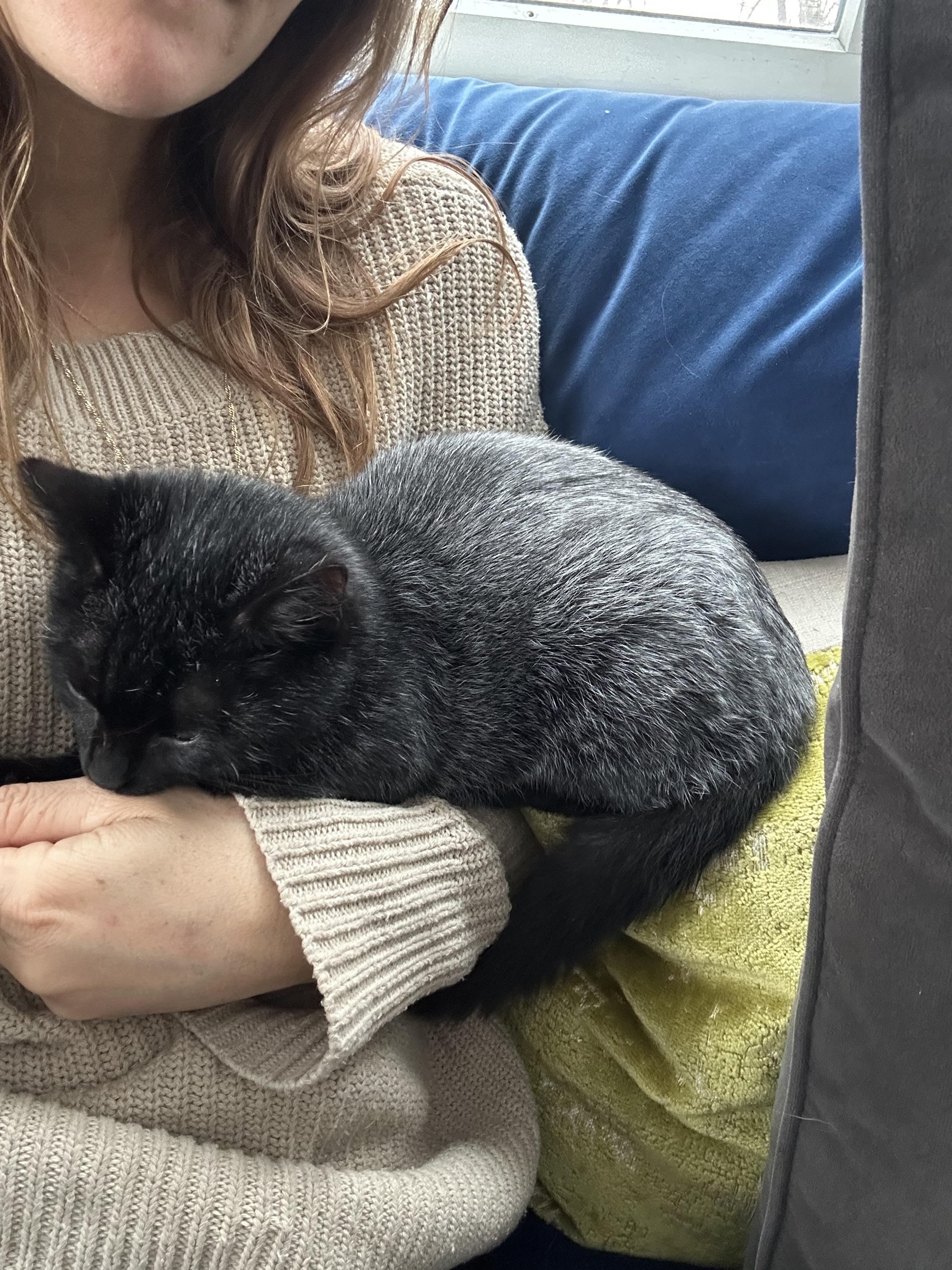 Fever Coat ?!?! | Scrolller