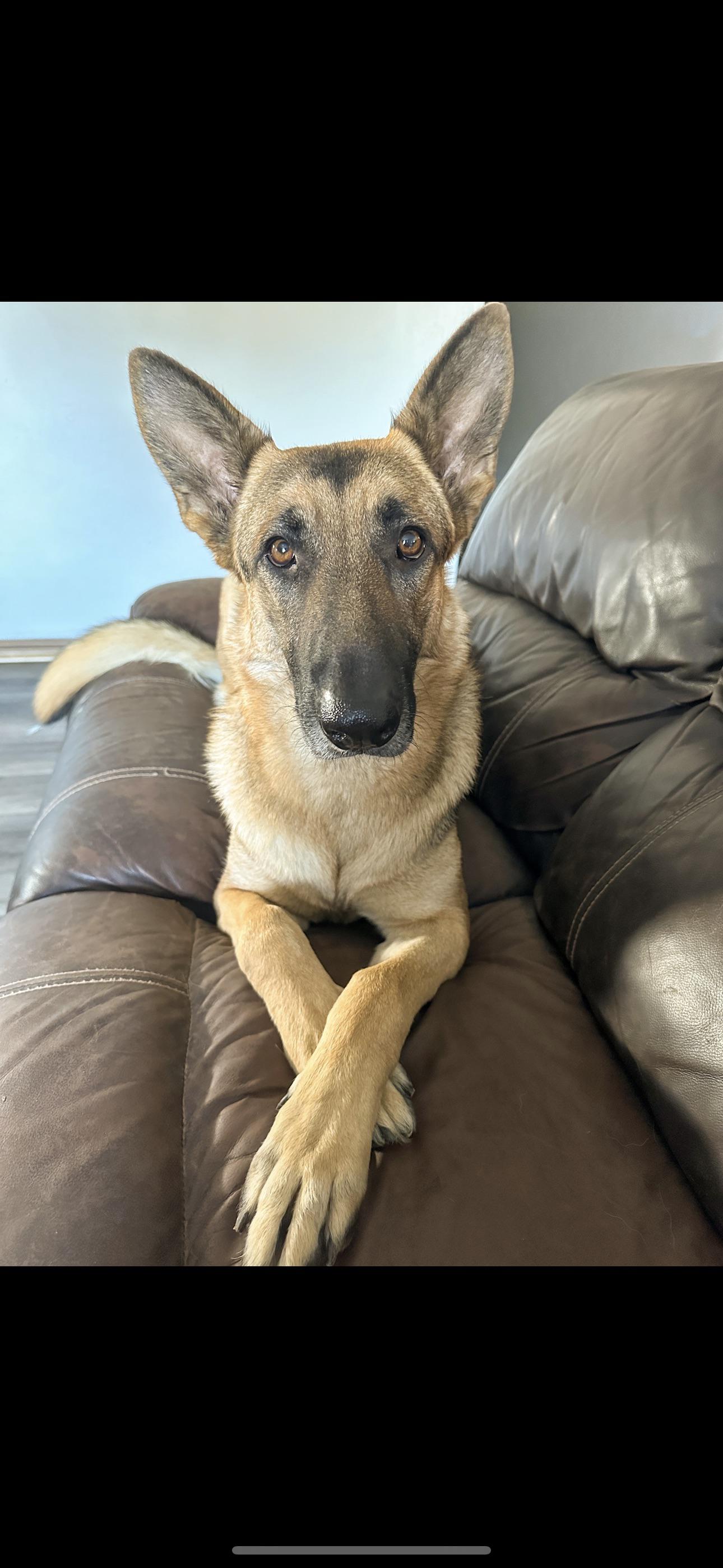 One year later and she’s still so polite 🥹 | Scrolller