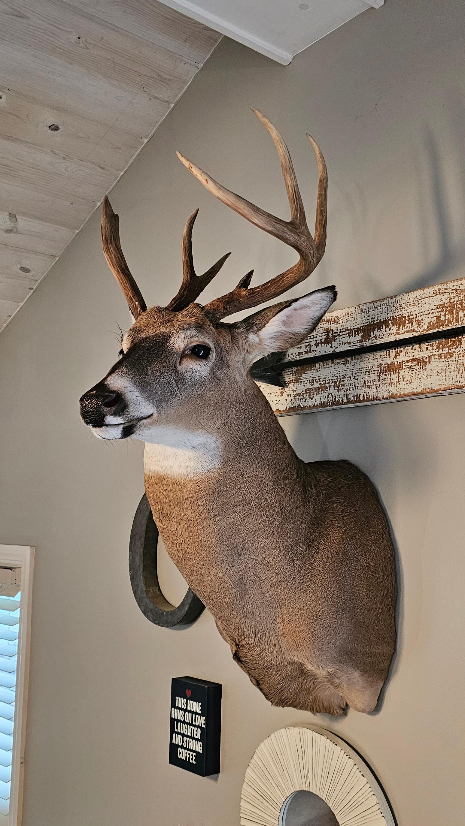 Discover more like Hunting: Got the call that my guy was ready for pickup 😁 and Related Content ...