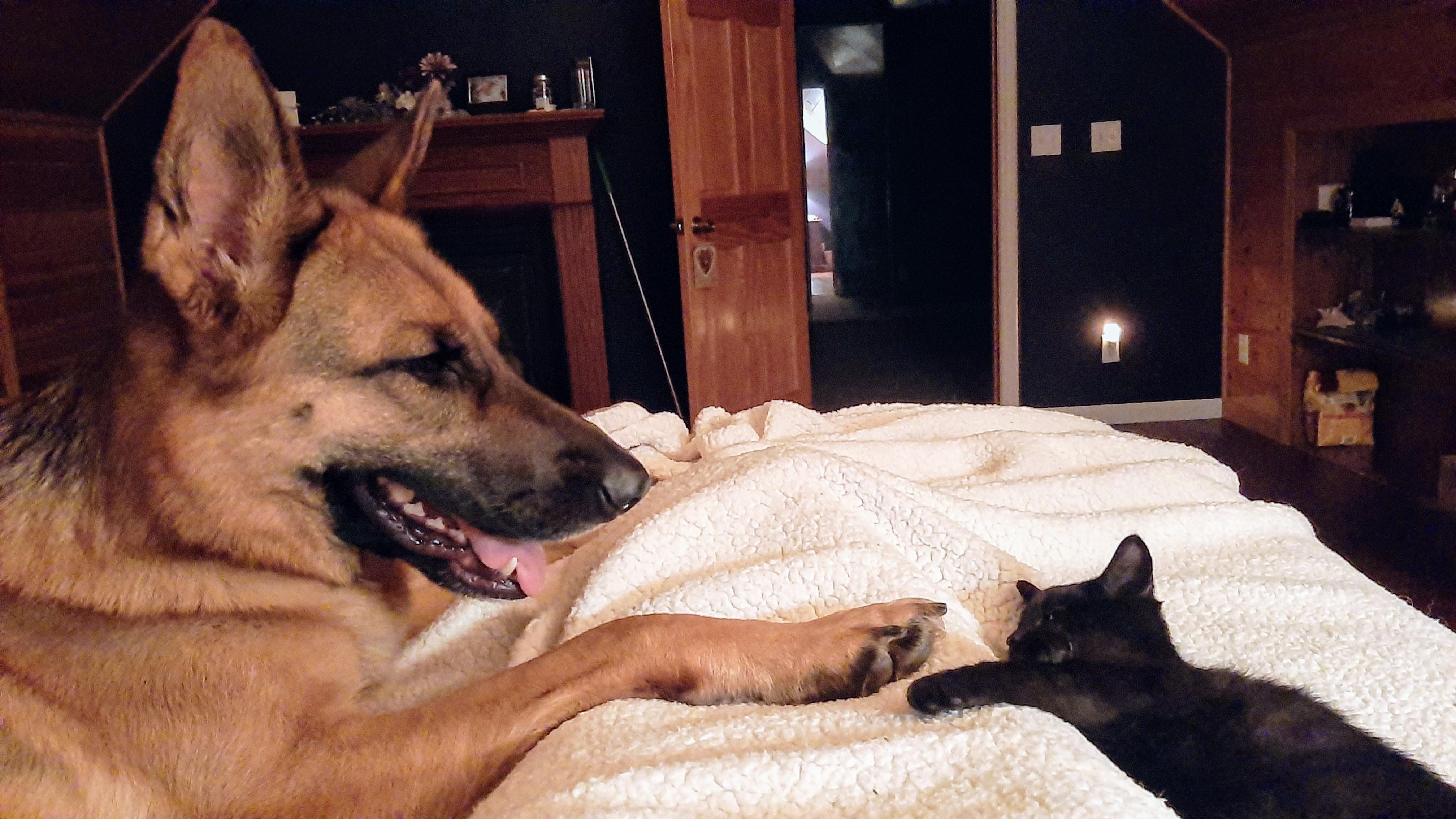 Finally at peace. My favorite memories. | Scrolller