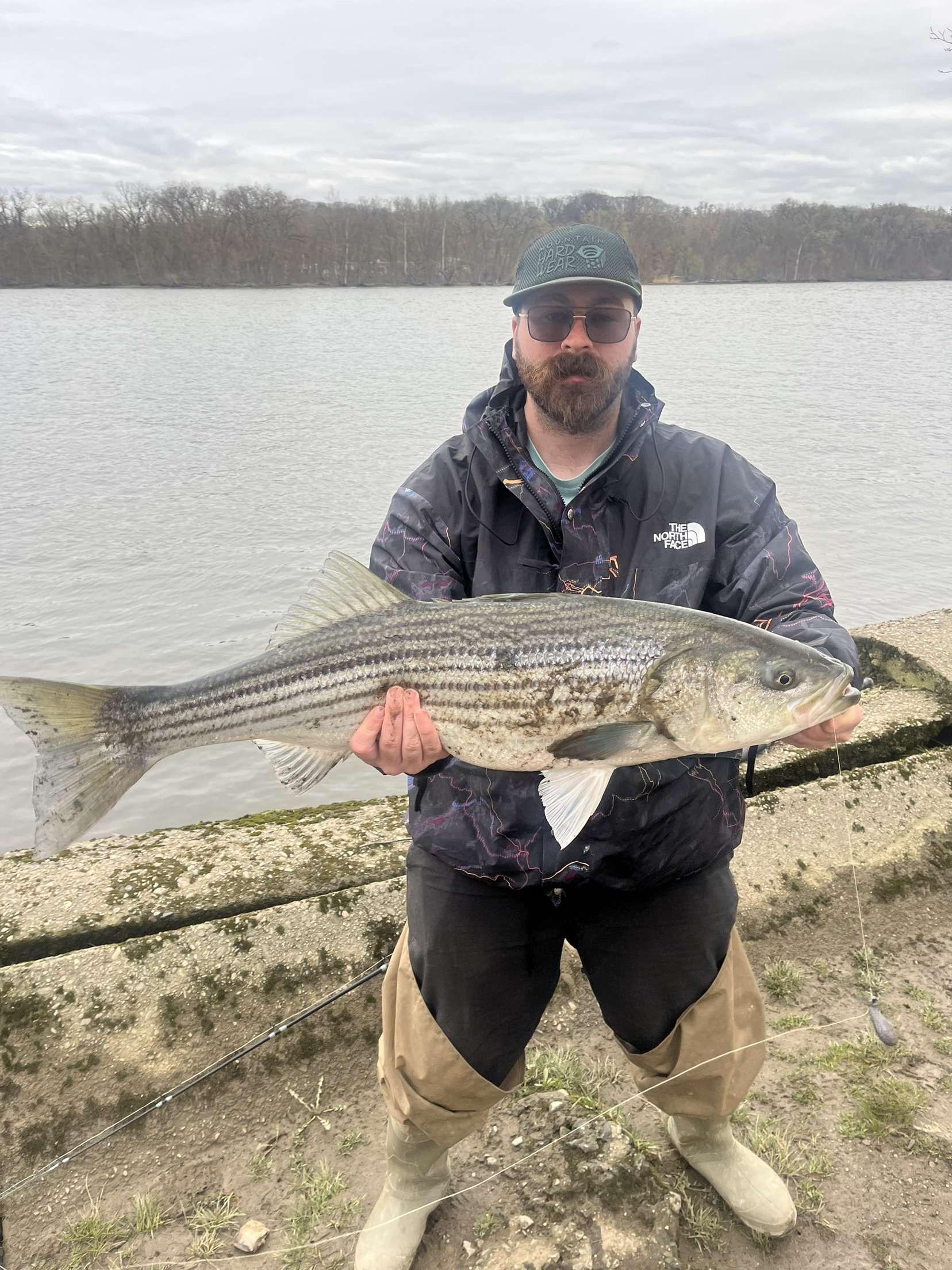 Some of the fish ive caught this year so far. Mostly upstate ny, the ...