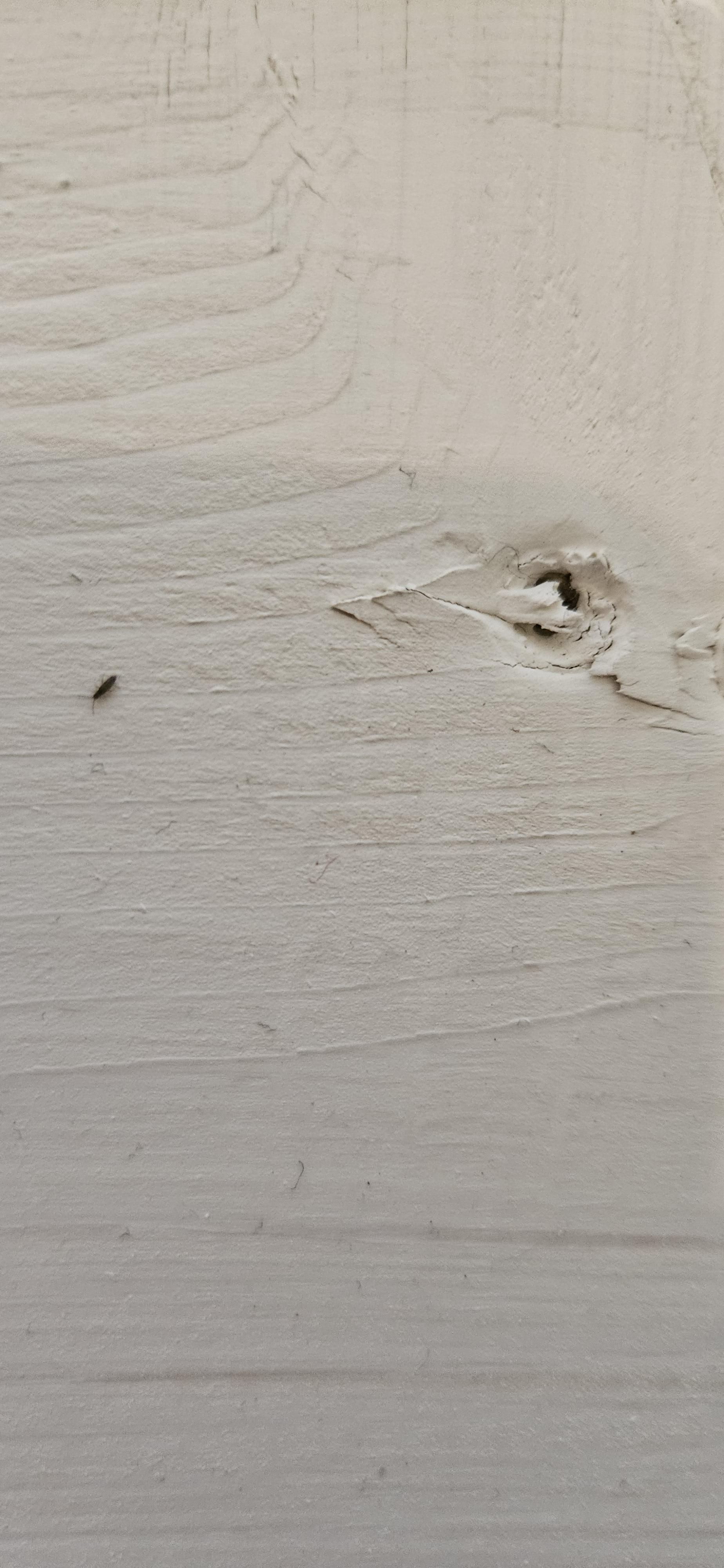 What are these tiny little bugs? | Scrolller