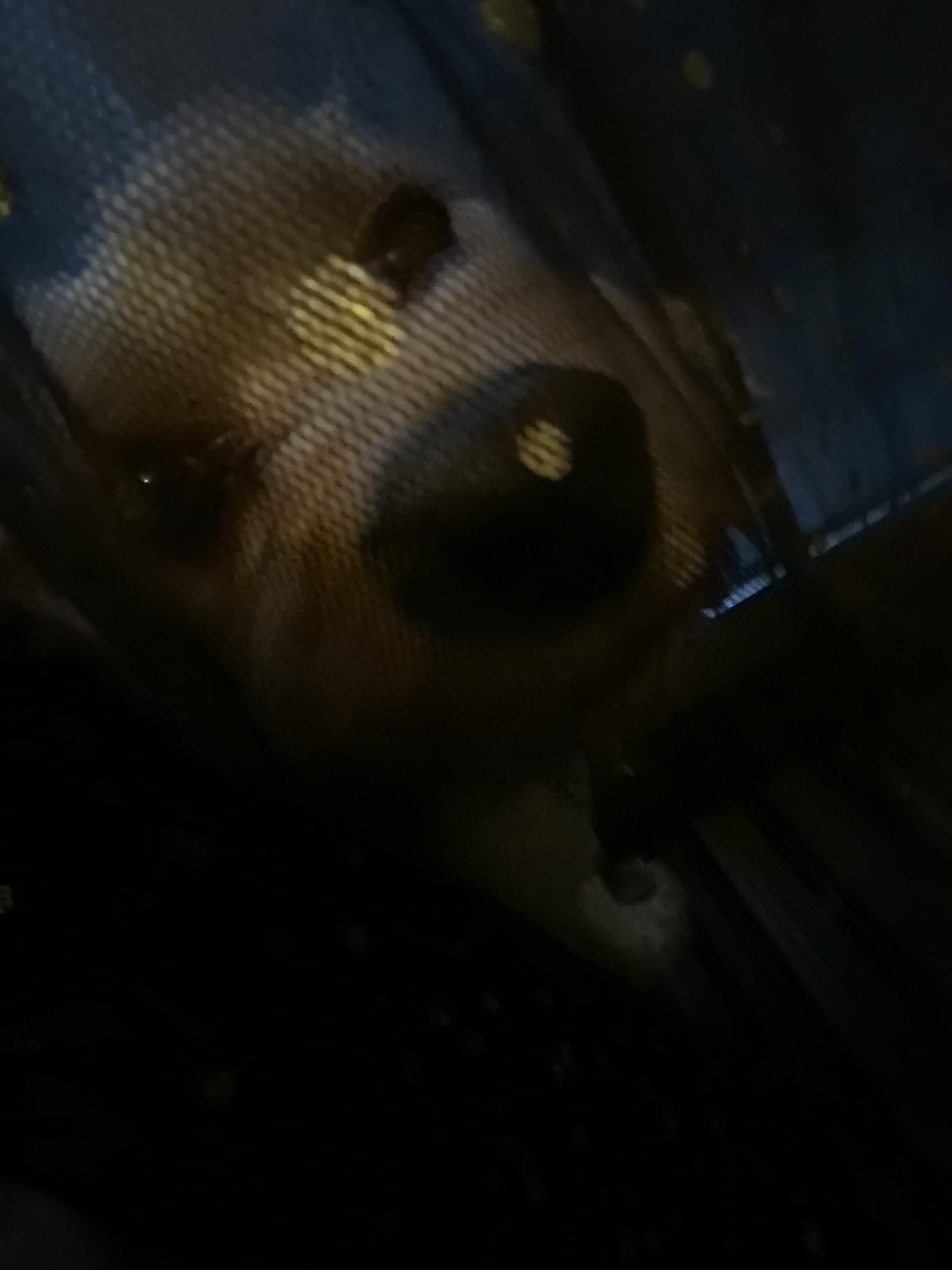 Hide and seek expert | Scrolller