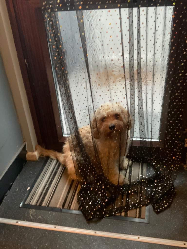 Hide and seek expert | Scrolller