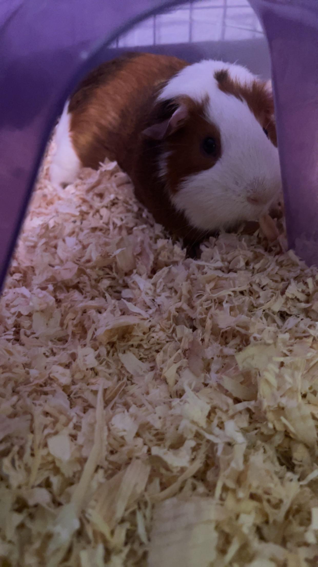 Welcome in patrick | Scrolller