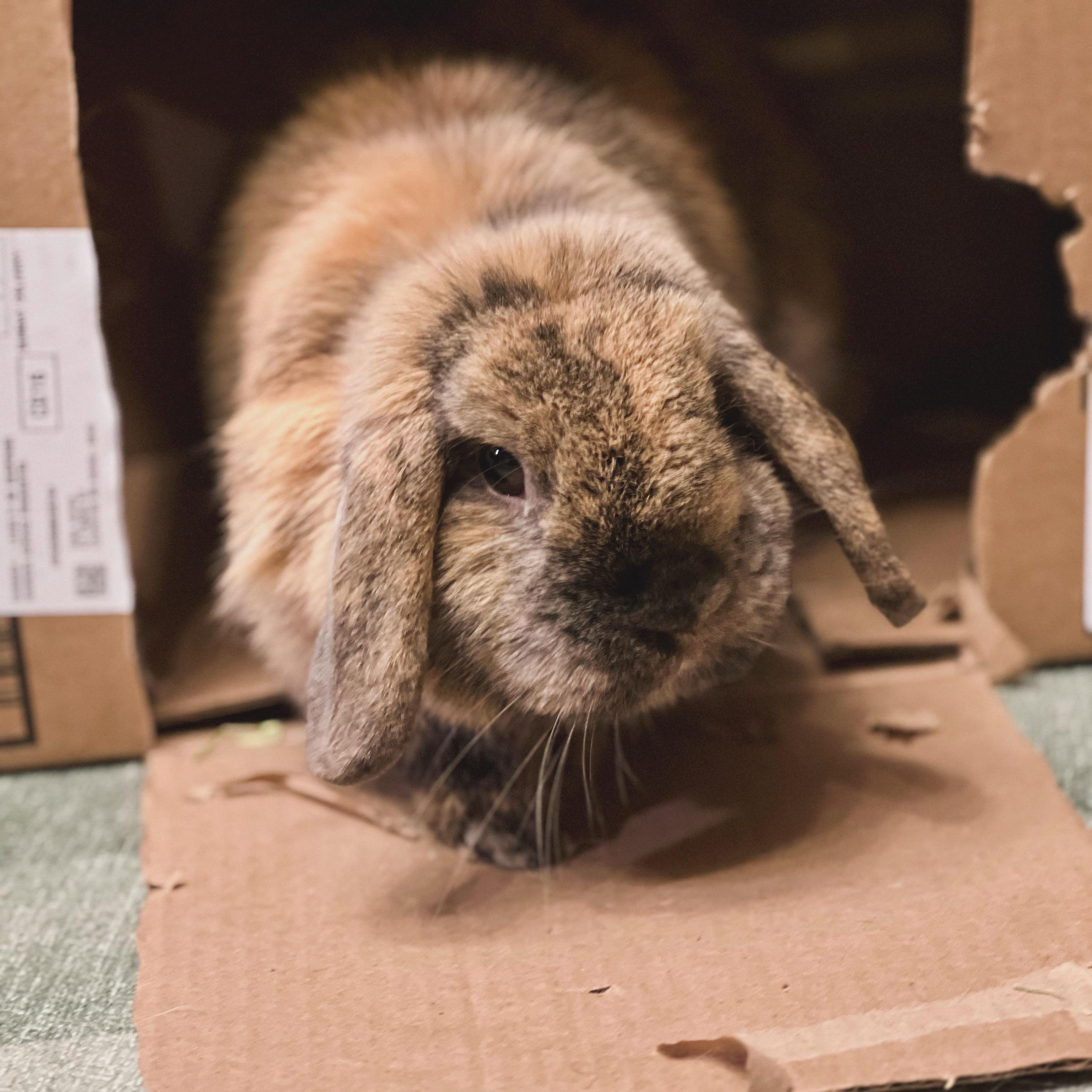 Camera question? | Scrolller