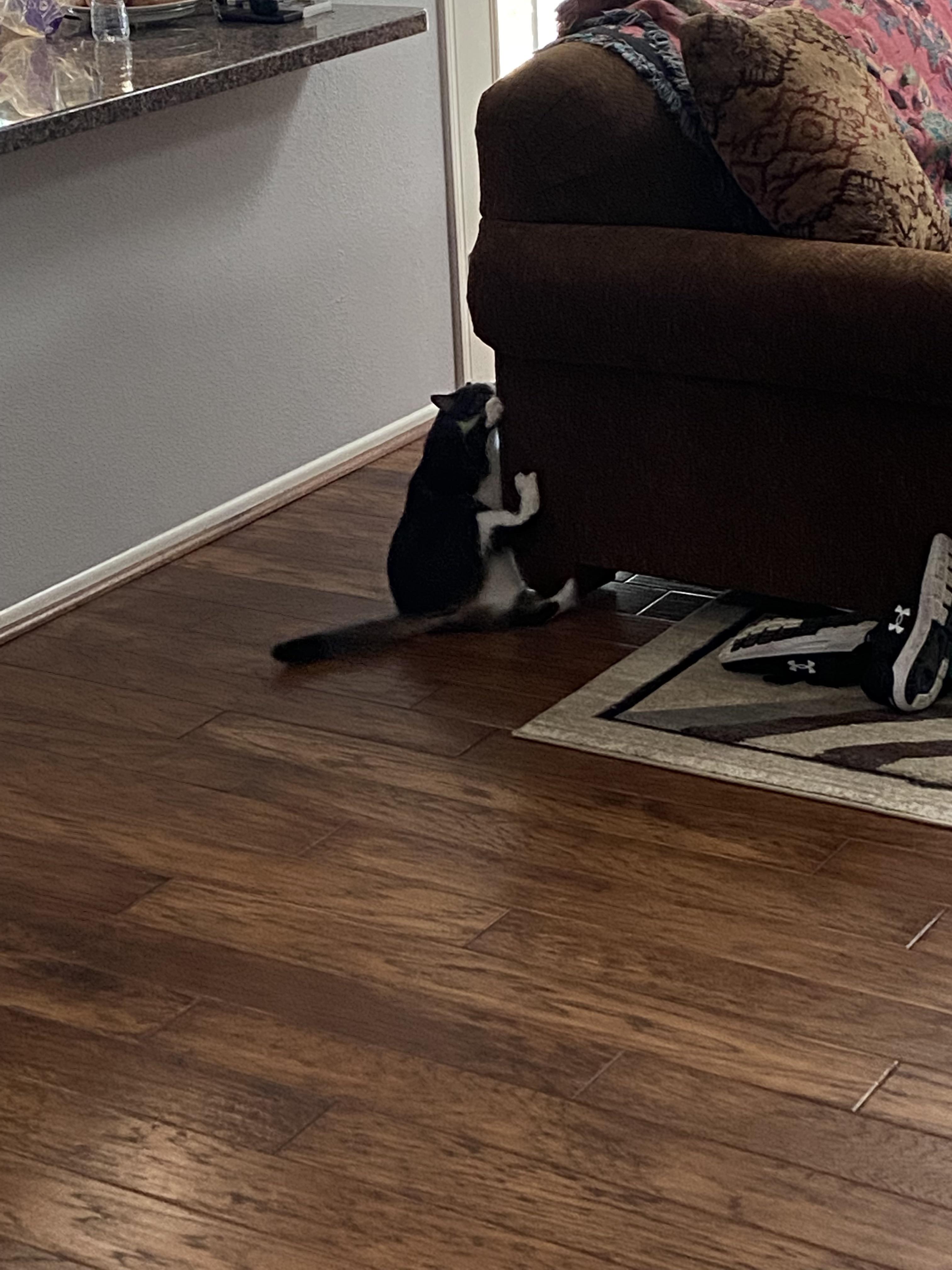 HELP I AM STUCK | Scrolller