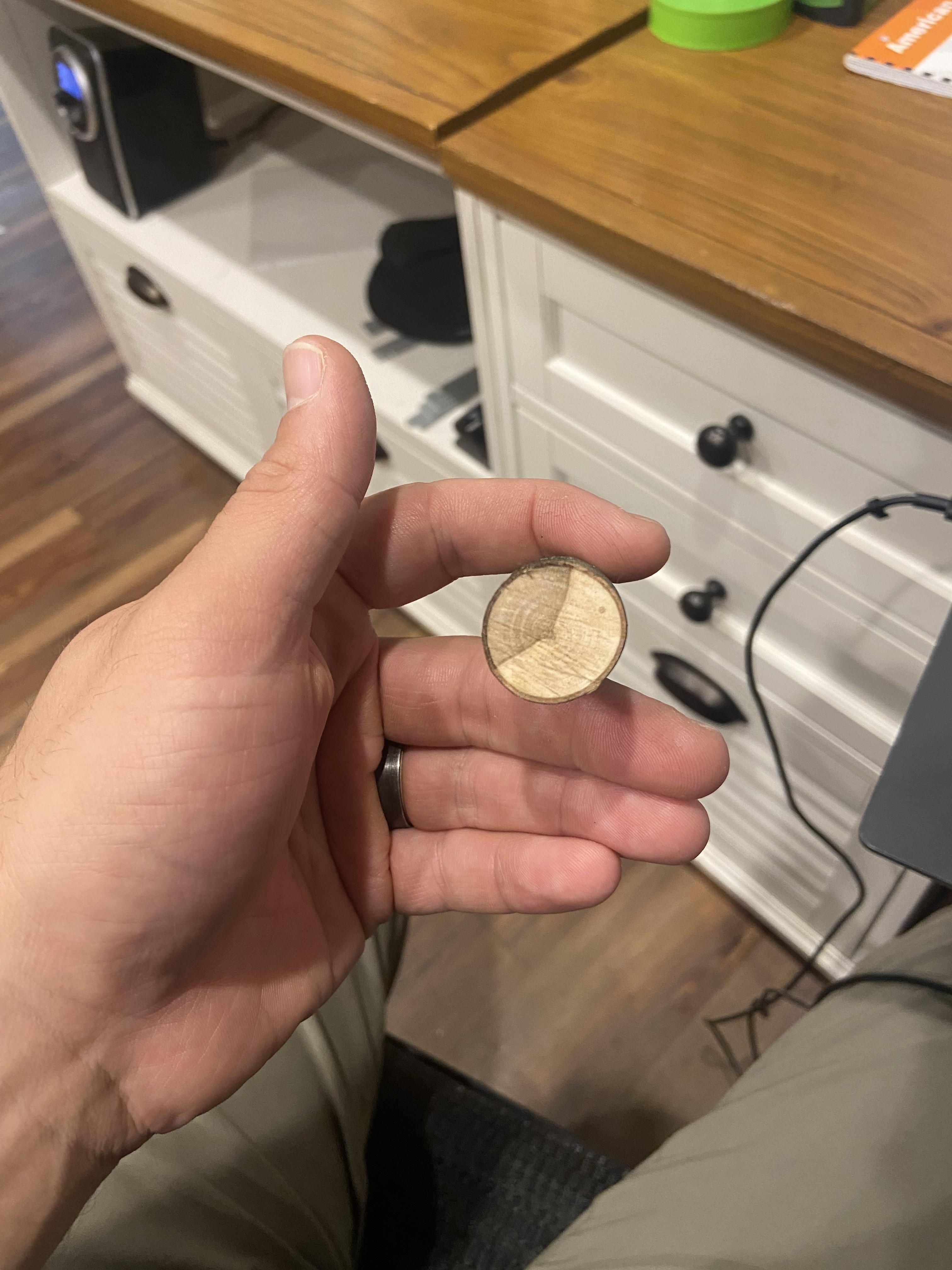 Odd Branch | Scrolller