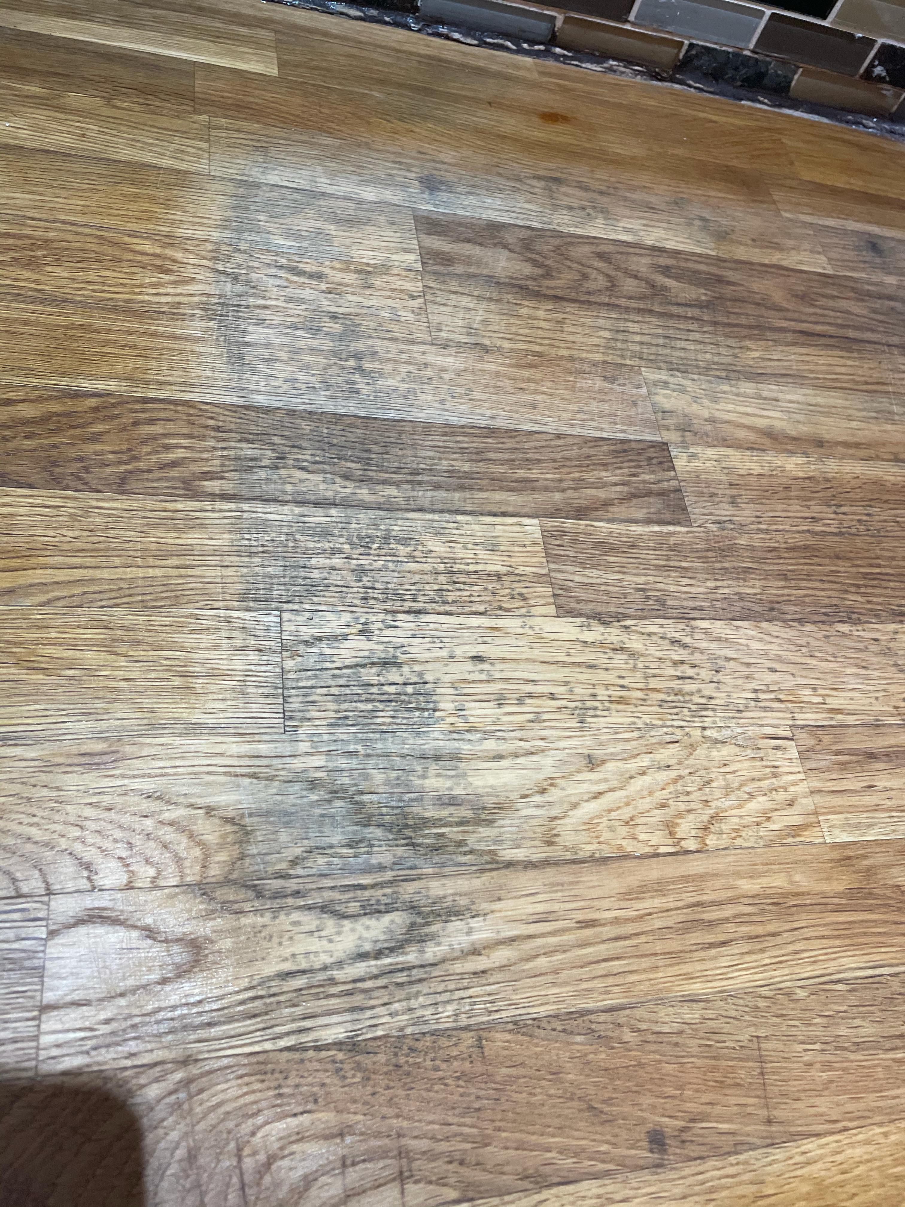 Area next to this sink. Is this mold? How do I fix it? | Scrolller