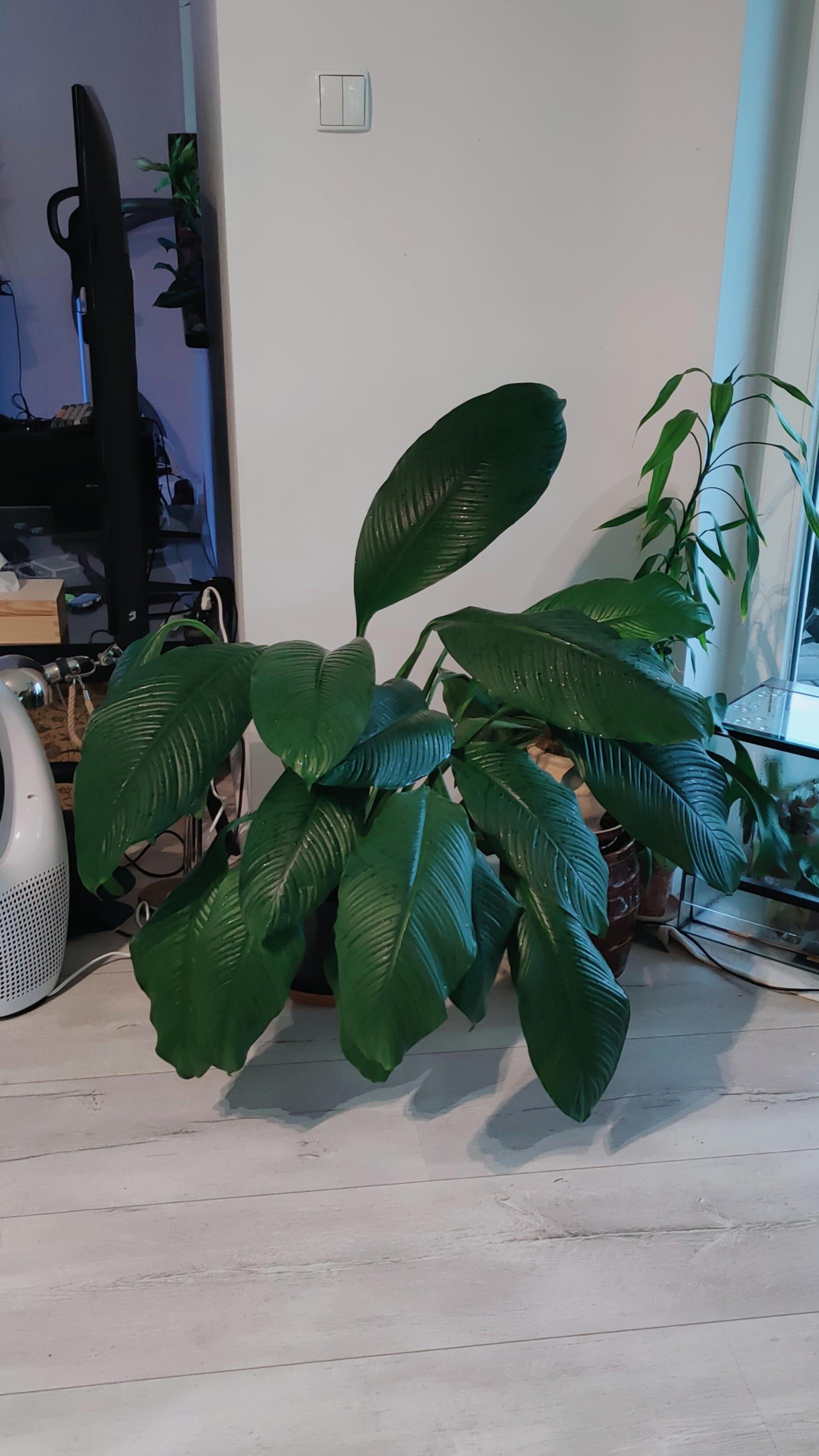 Which one would you keep? | Scrolller