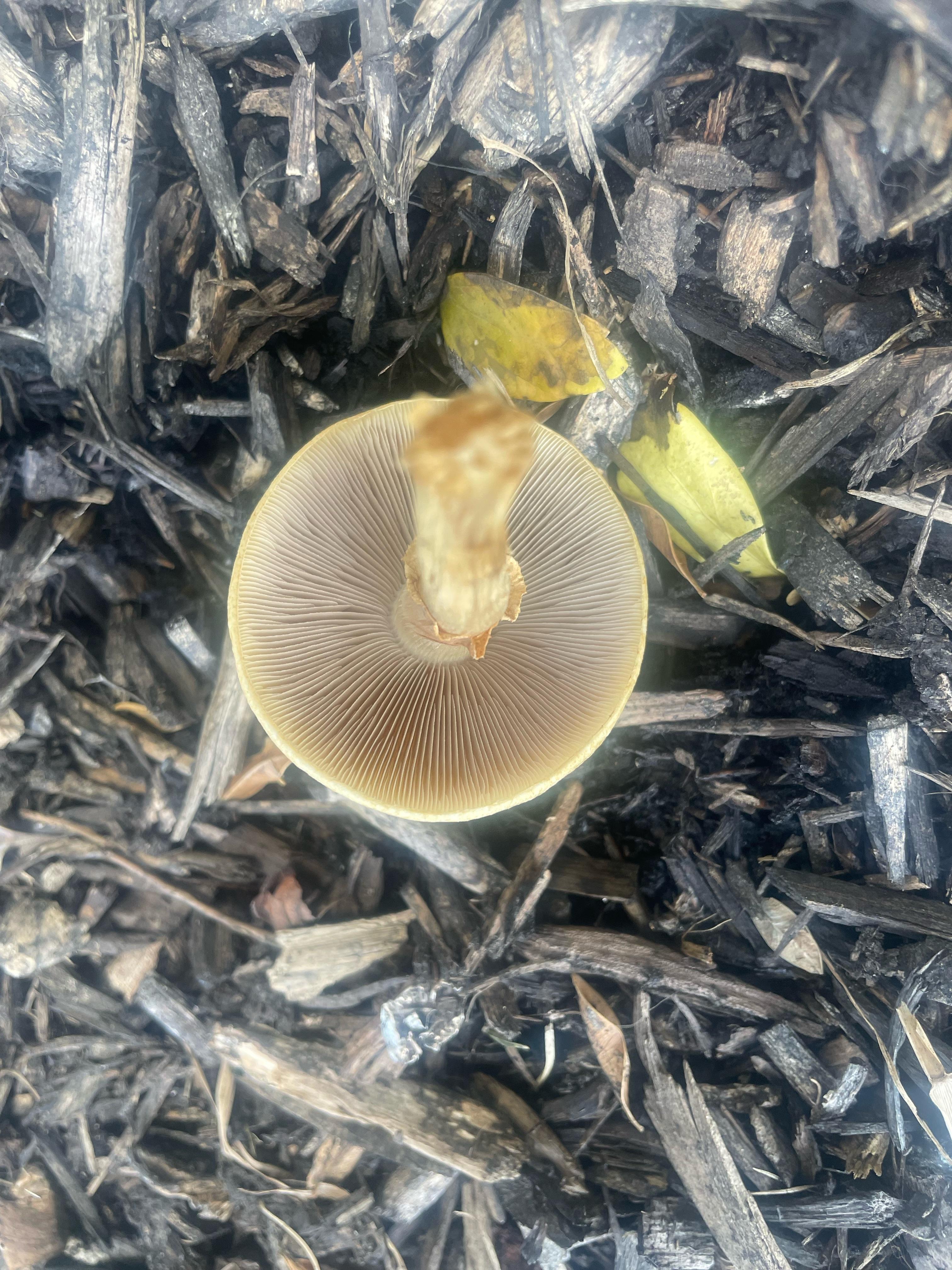 Central Ohio | Scrolller