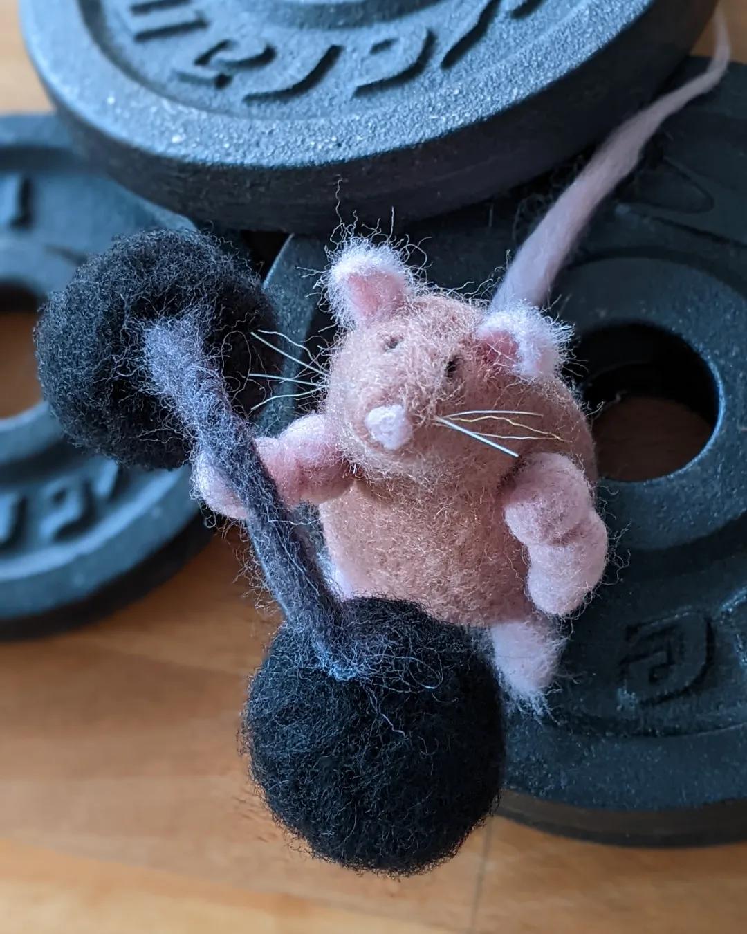 Discover more like RATS: Gym rat 💪 and Related Content | Scrolller