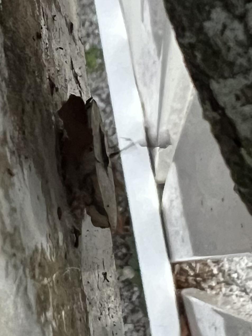 Help finding pieces | Scrolller