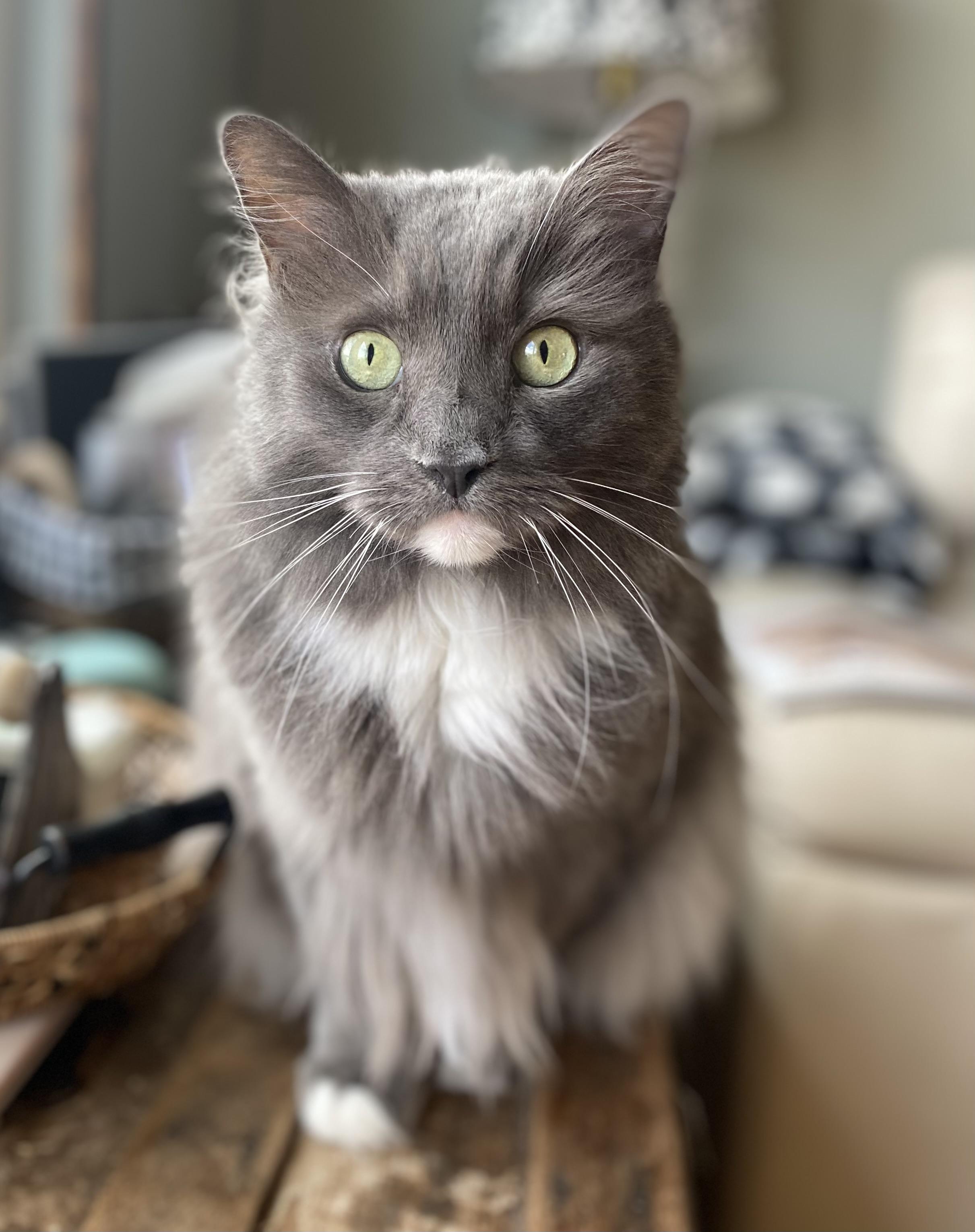 Meet Bugs | Scrolller