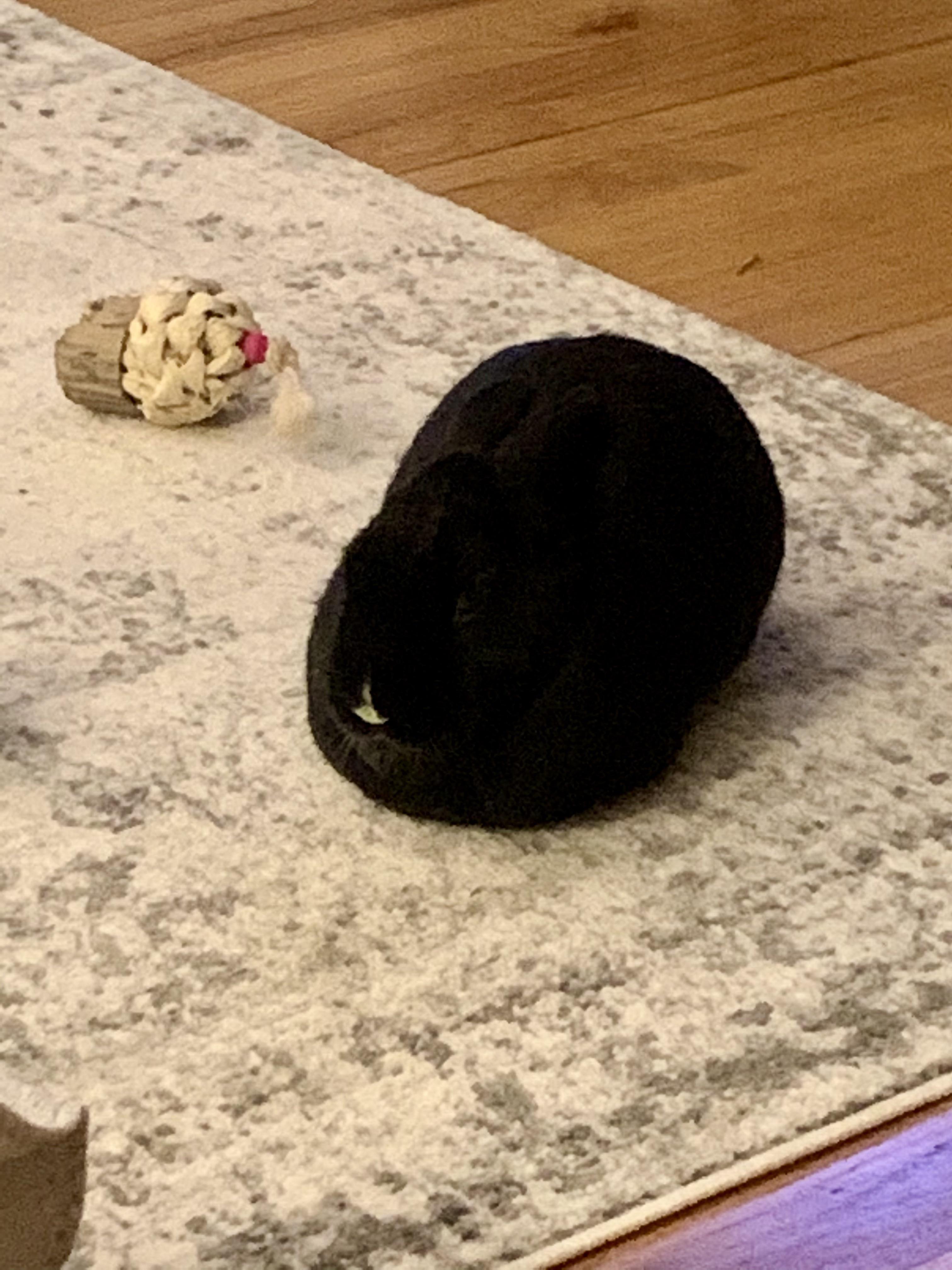 Ultimate void loaf | Scrolller