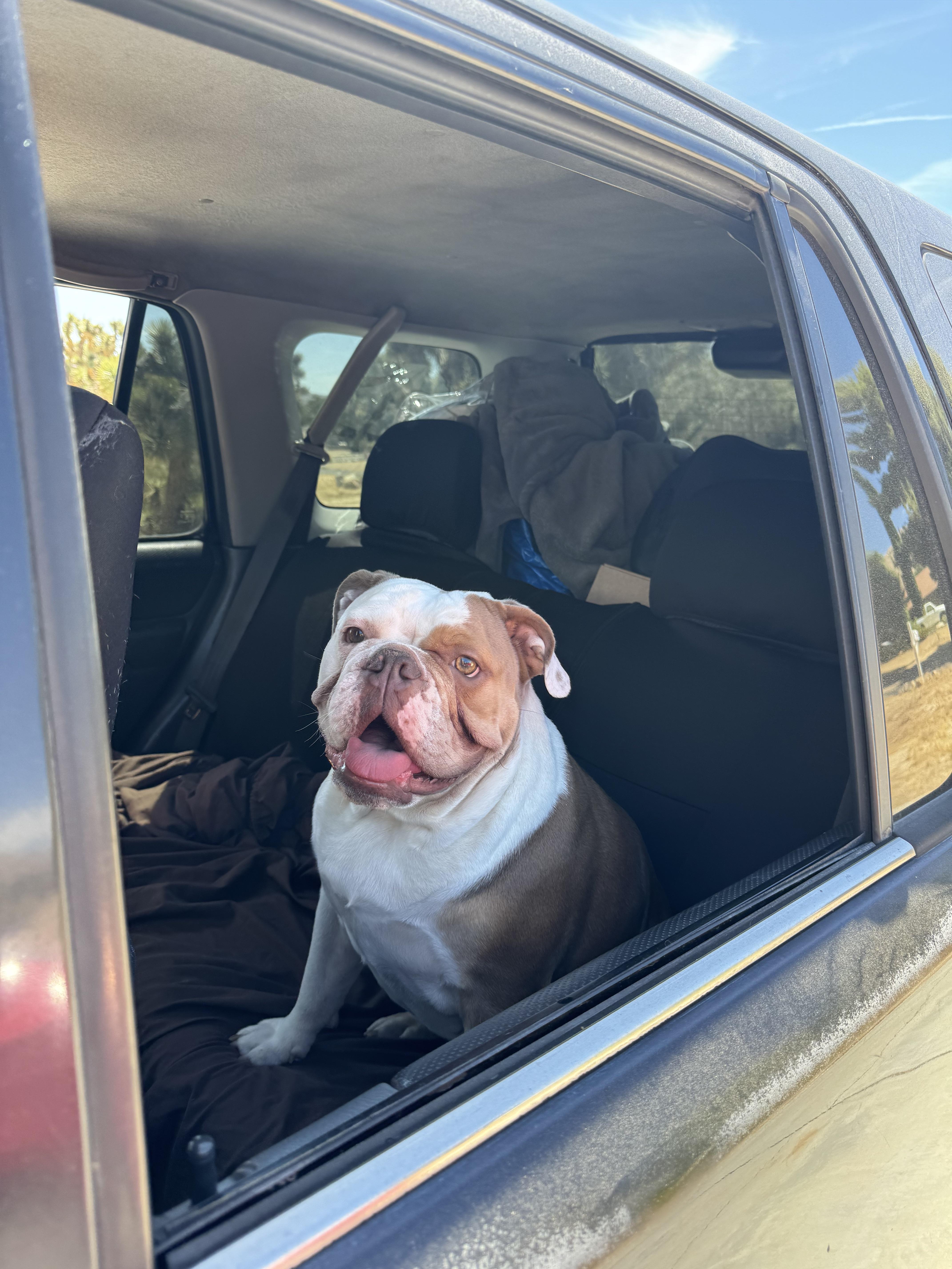 Skin issues | Scrolller