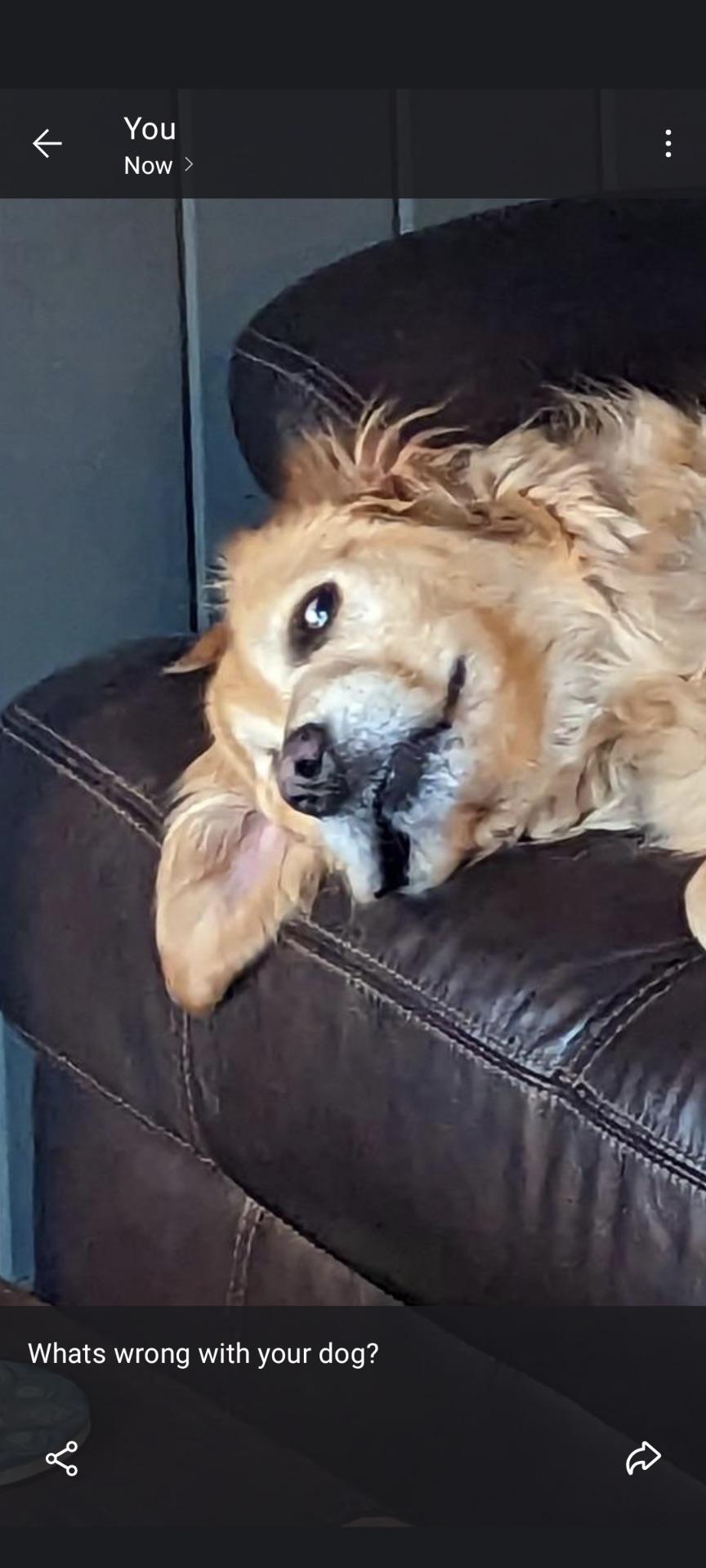 This is fairly standard. | Scrolller