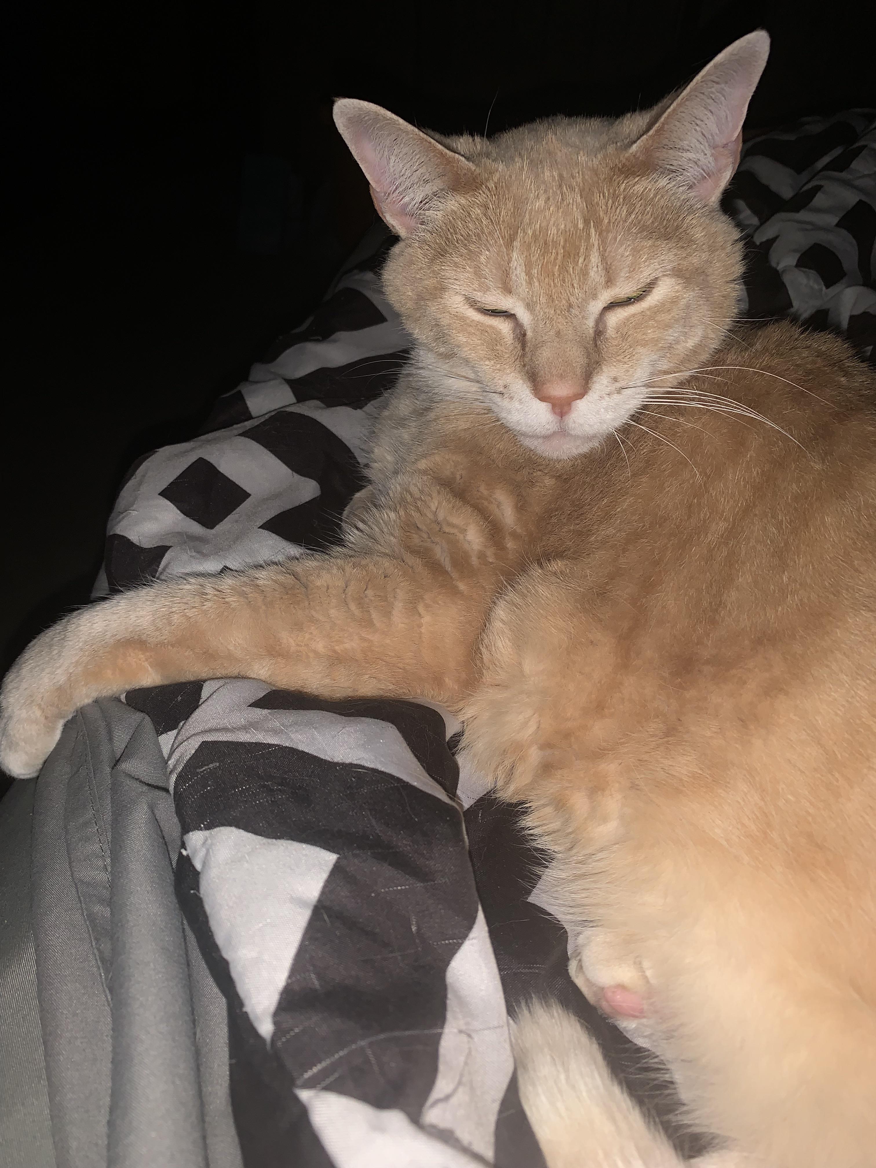 Unamused | Scrolller