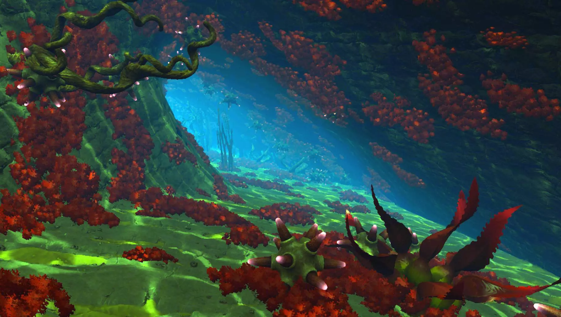 Under the Sea | Scrolller