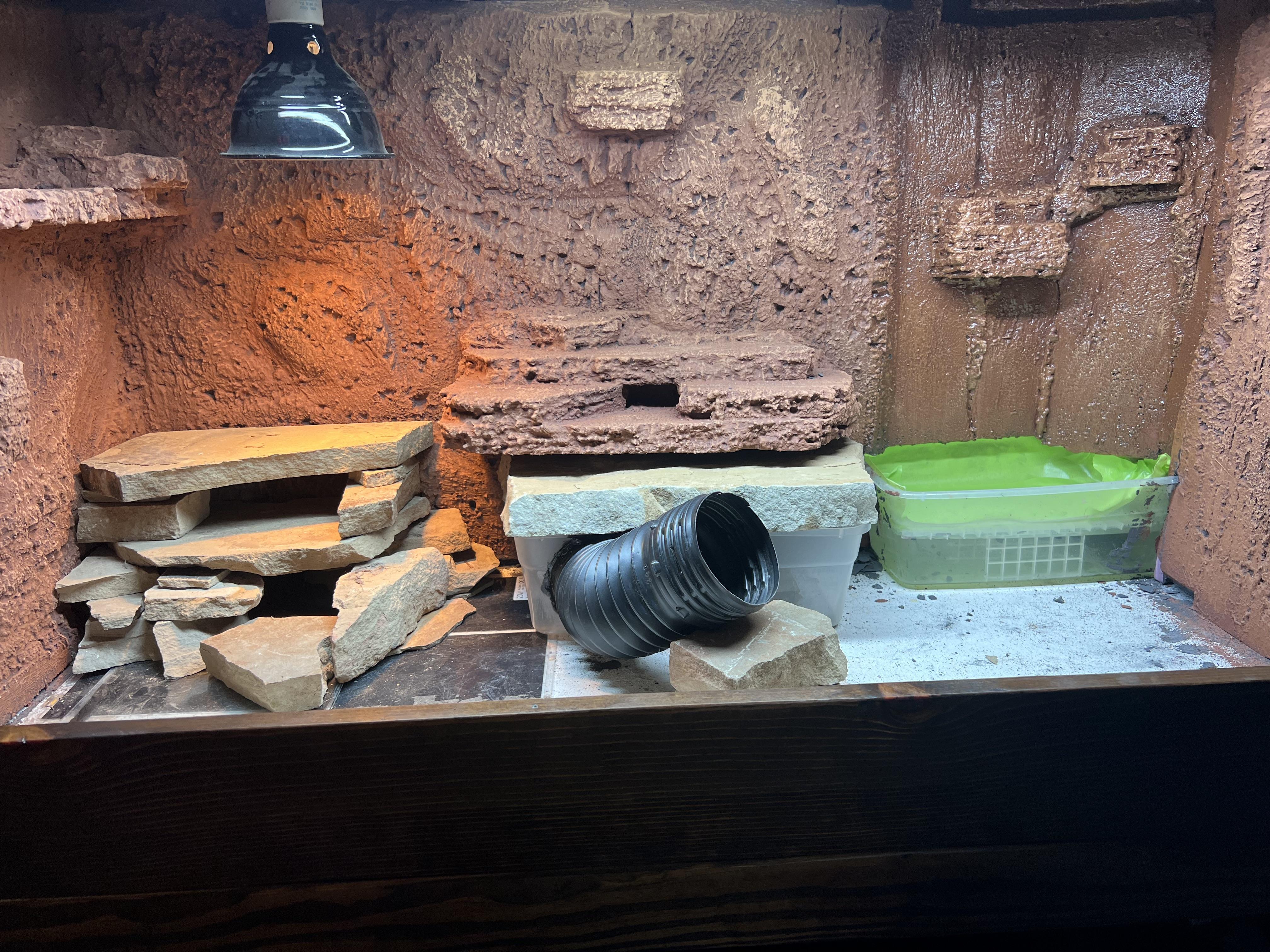 Finished Eclipse’s Upgrade | Scrolller