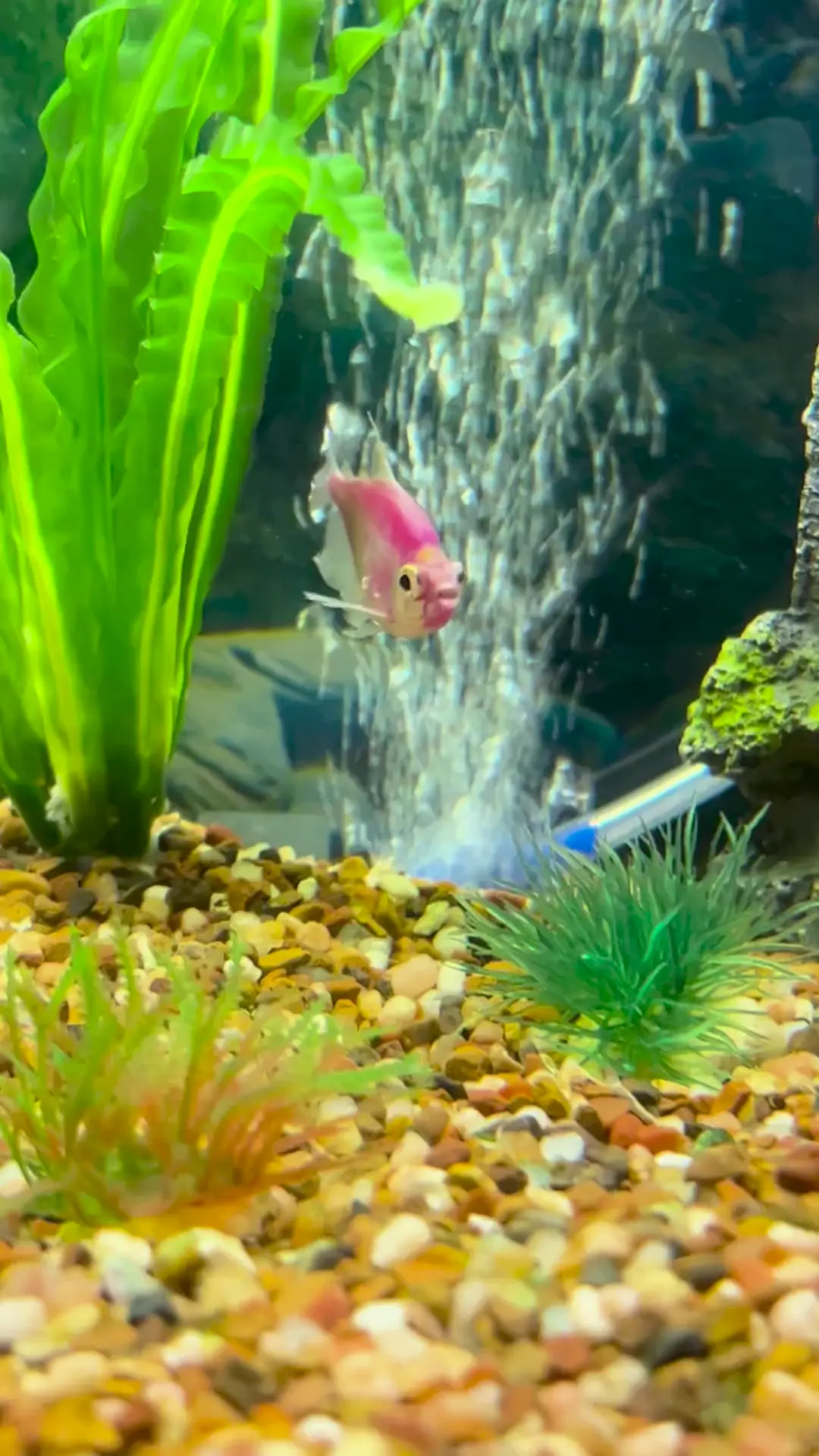 unusual behavior | Scrolller