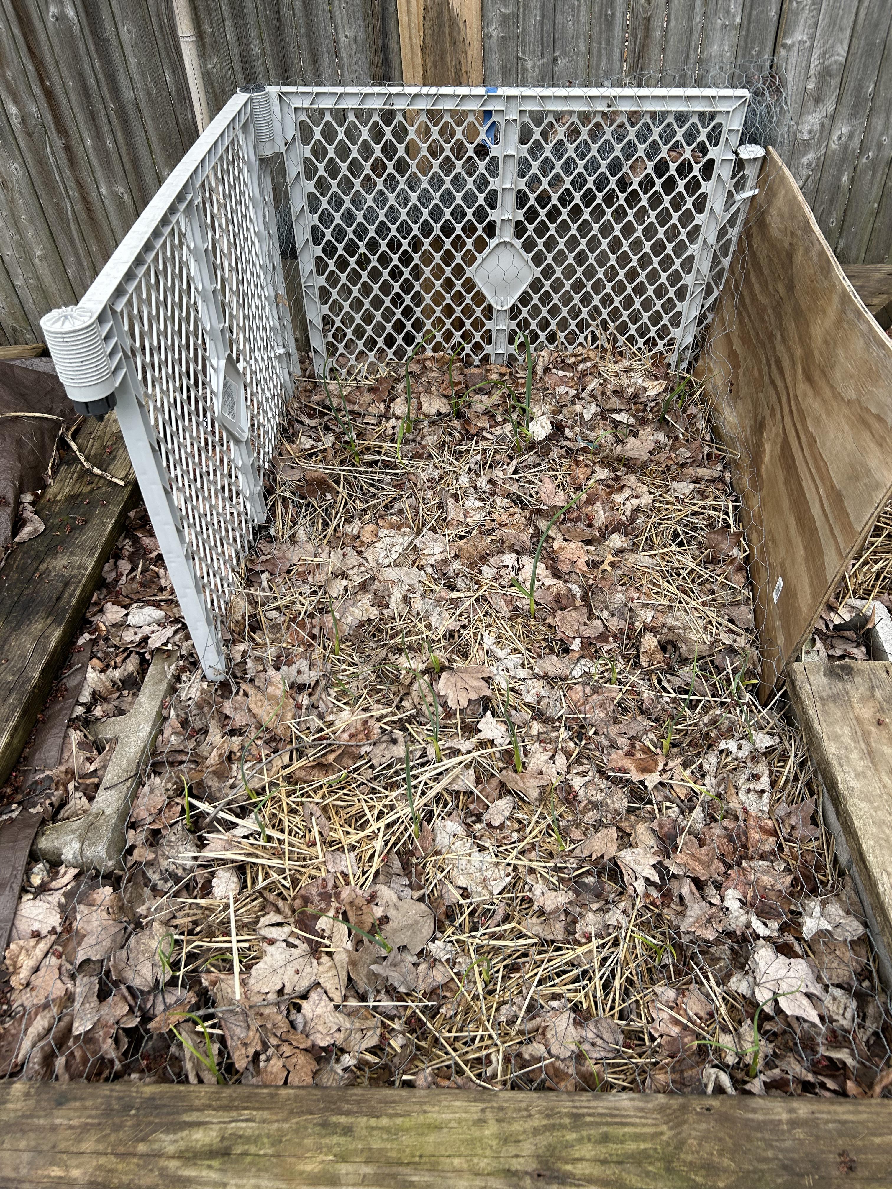 Update NY weather has been a roller coaster so far this spring but my ...