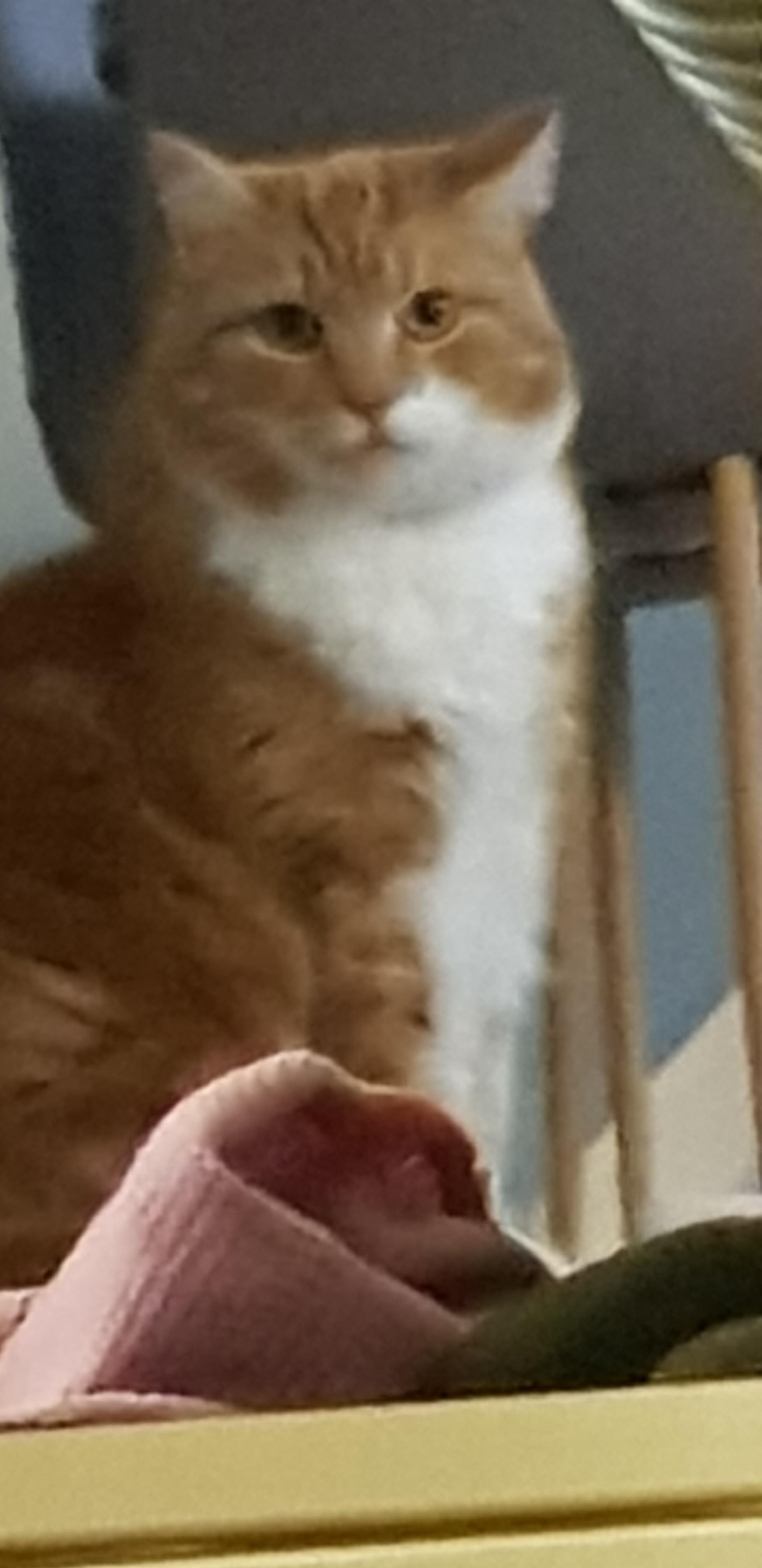 Decided to post some more pictures of Murph | Scrolller