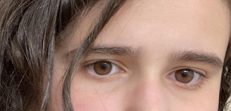 Medium brown? | Scrolller