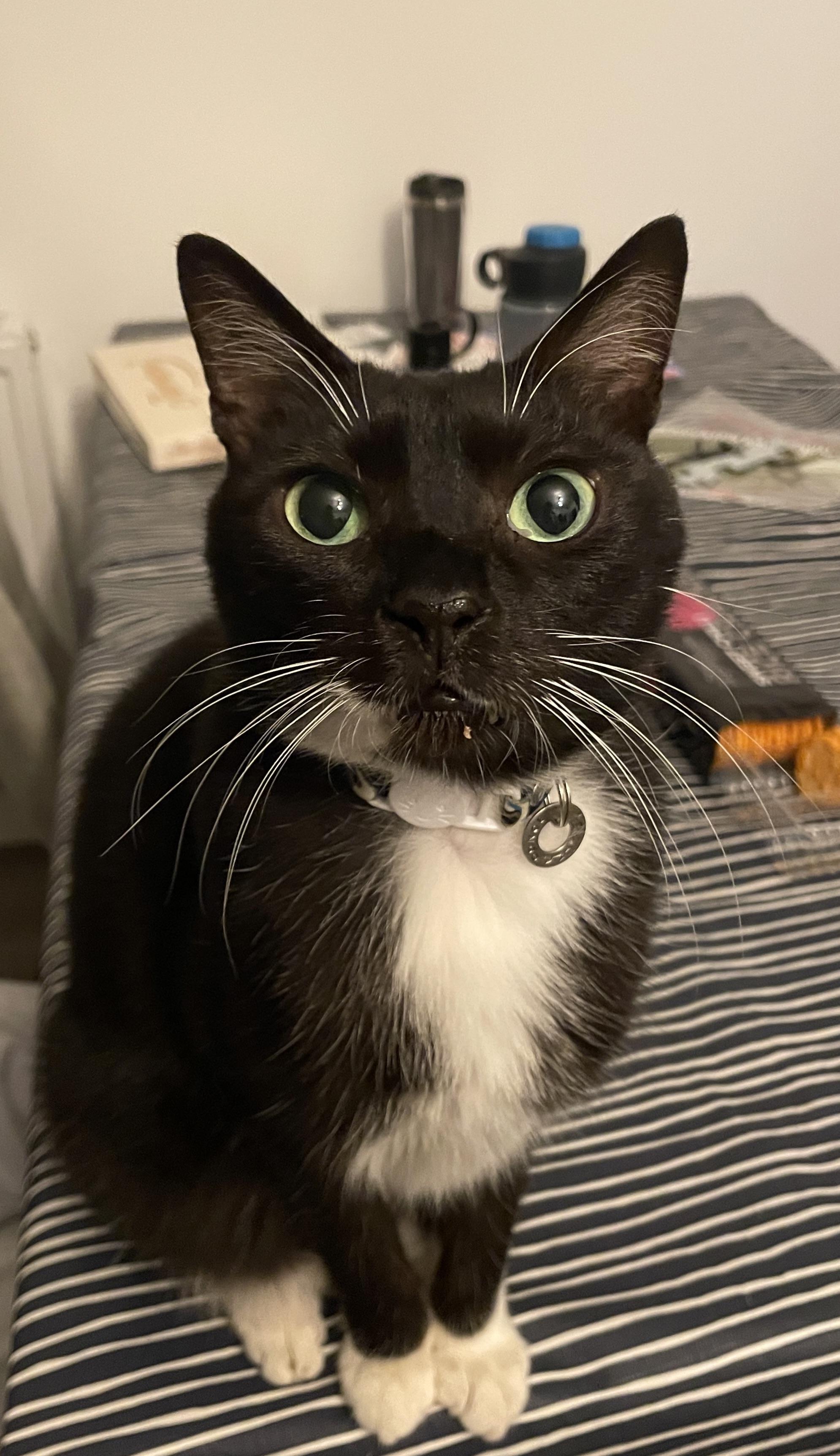 What’s your first impression of him? | Scrolller