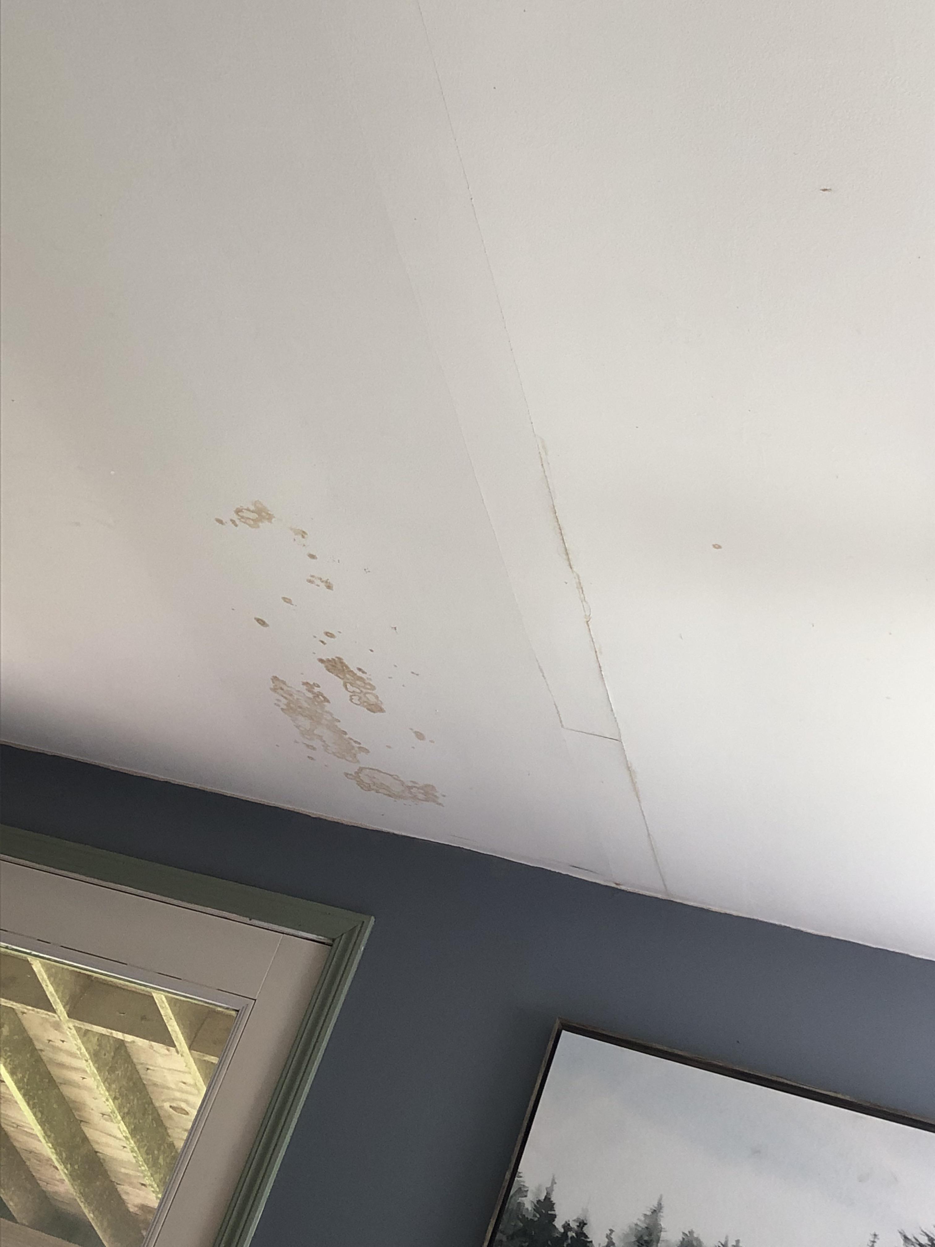 New homeowner with no real repair experience. How would one go about fixing this area of the ...