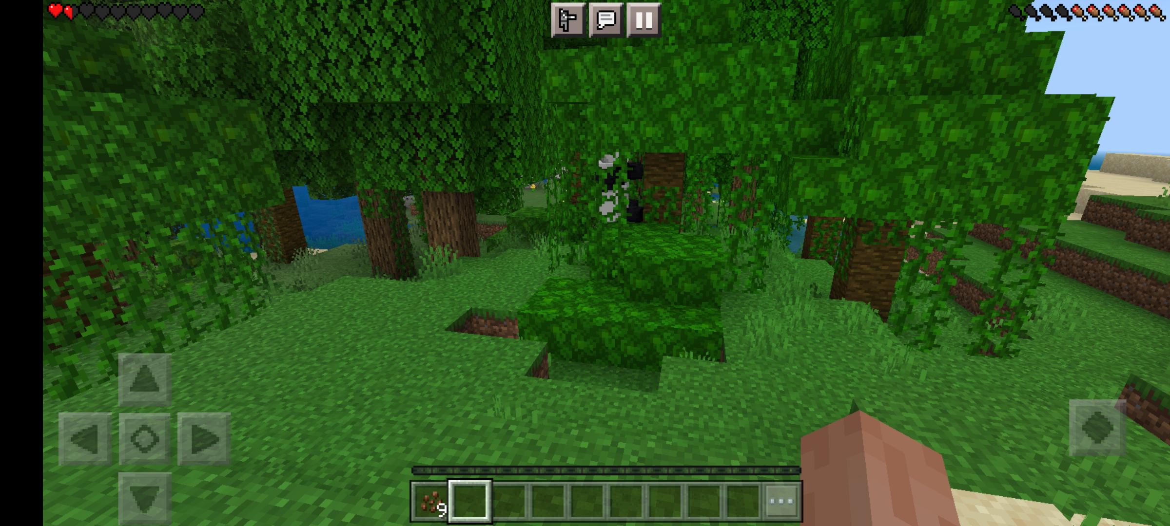 This is the smallest forest biome i have ever seen | Scrolller
