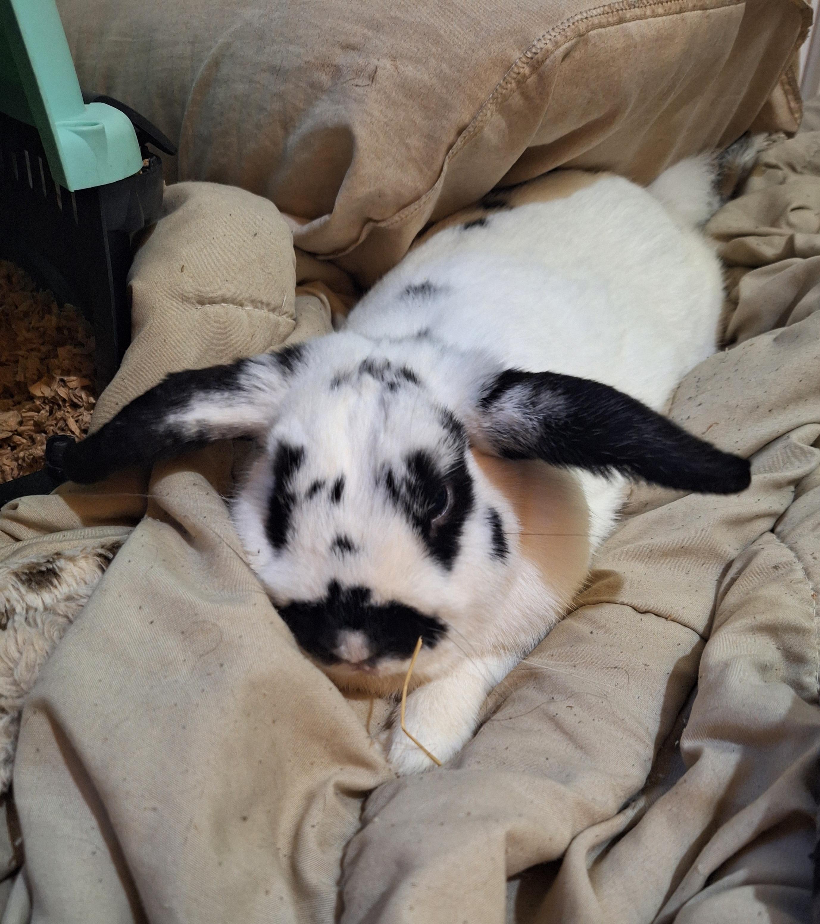 Chillin. | Scrolller